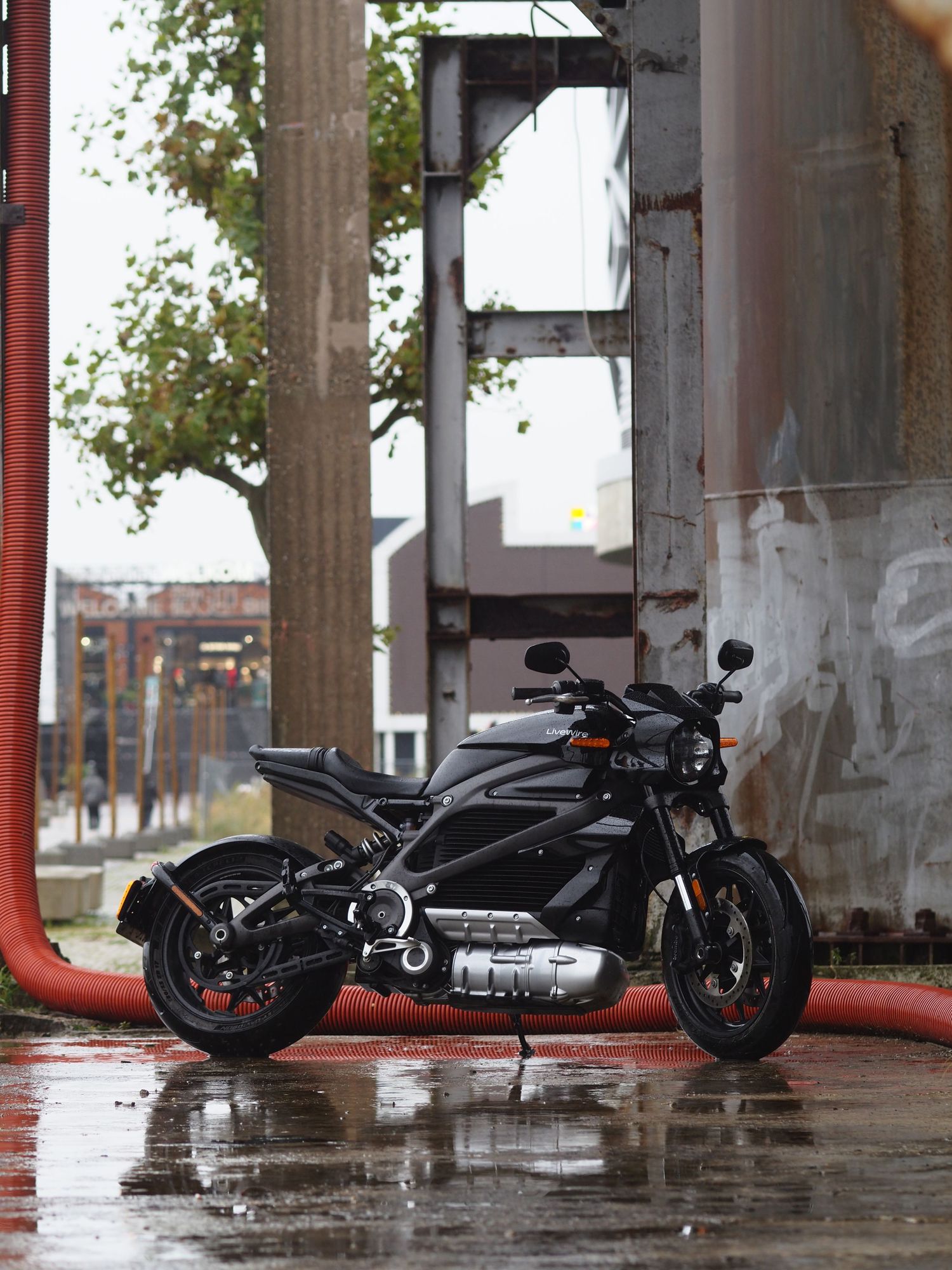 Livewire ONE - Scrambler_AMS