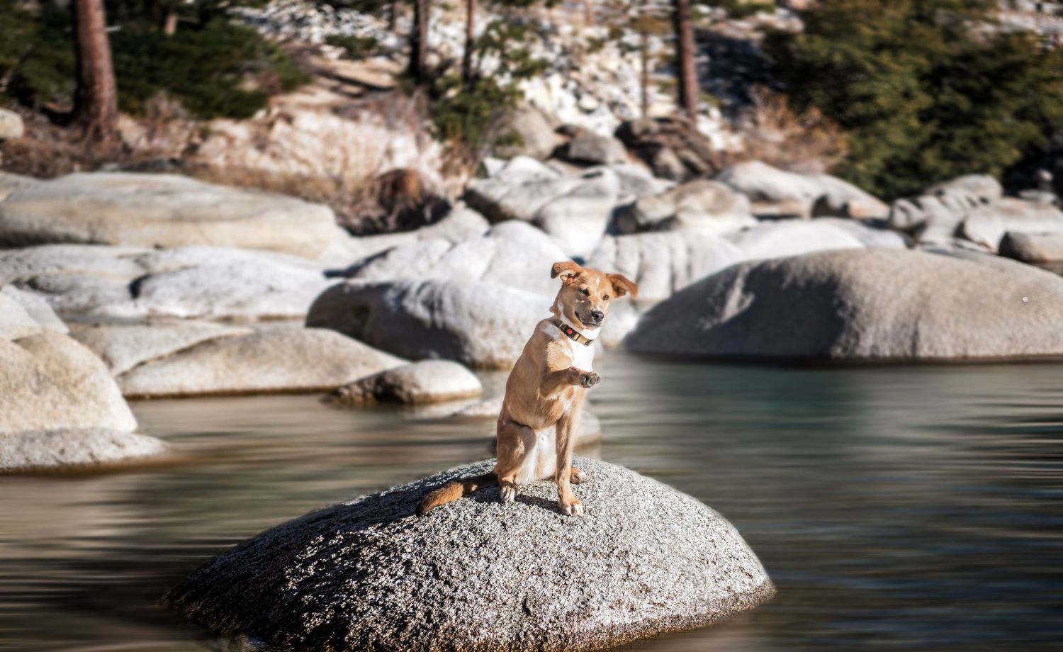 Investment - Ryan Ritter Photography