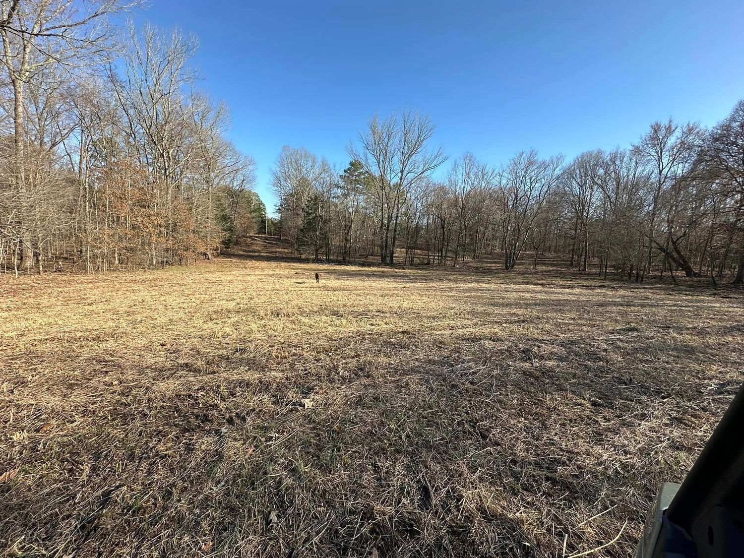 Portfolio - Forestry & Land Management LLC