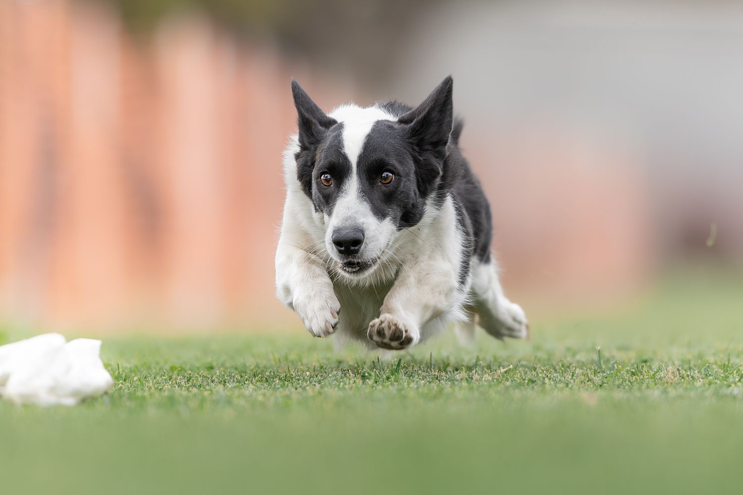 Portfolio - Tiffany Schulze Photography