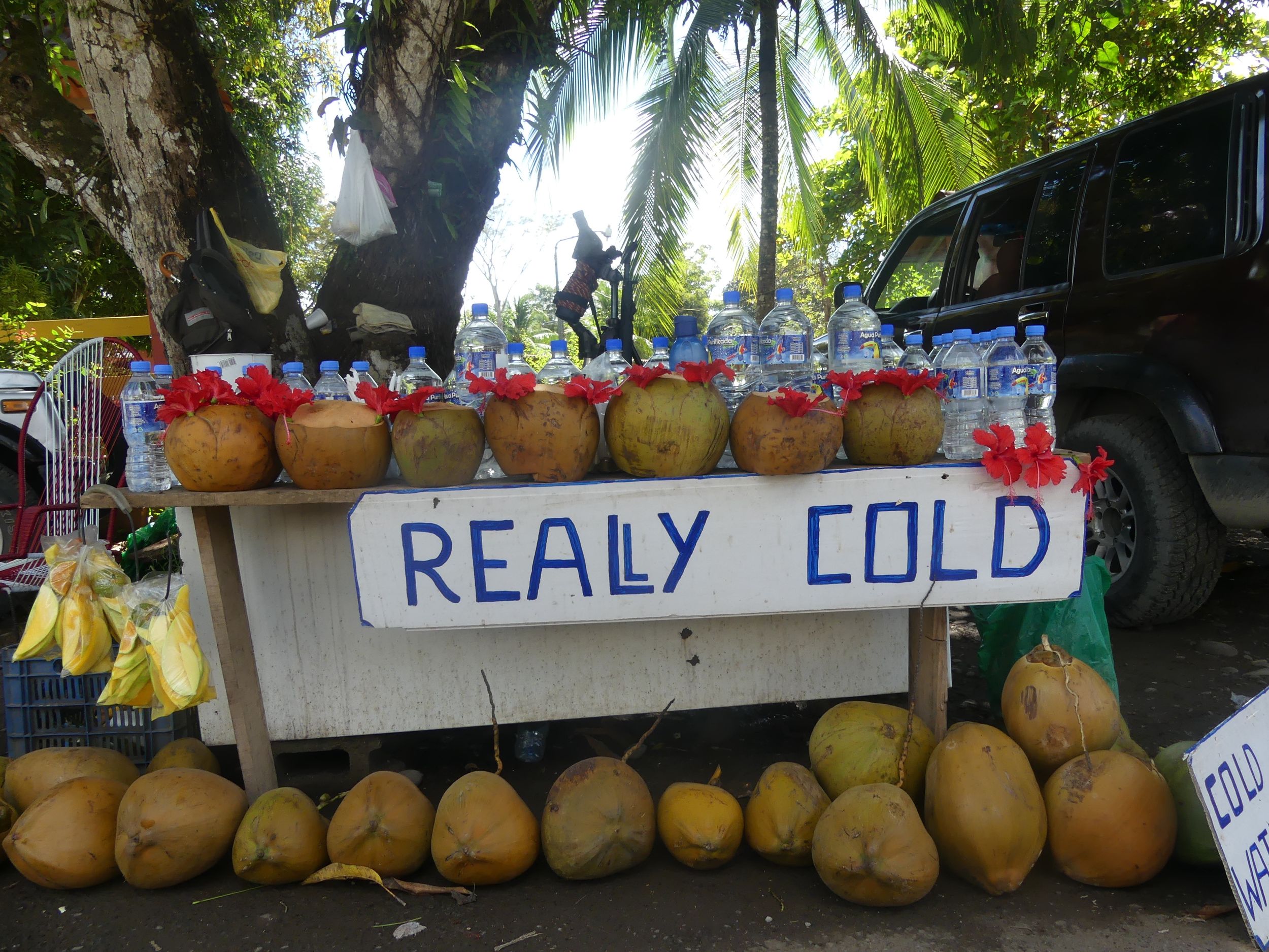 All About Me - Girasoles Photography