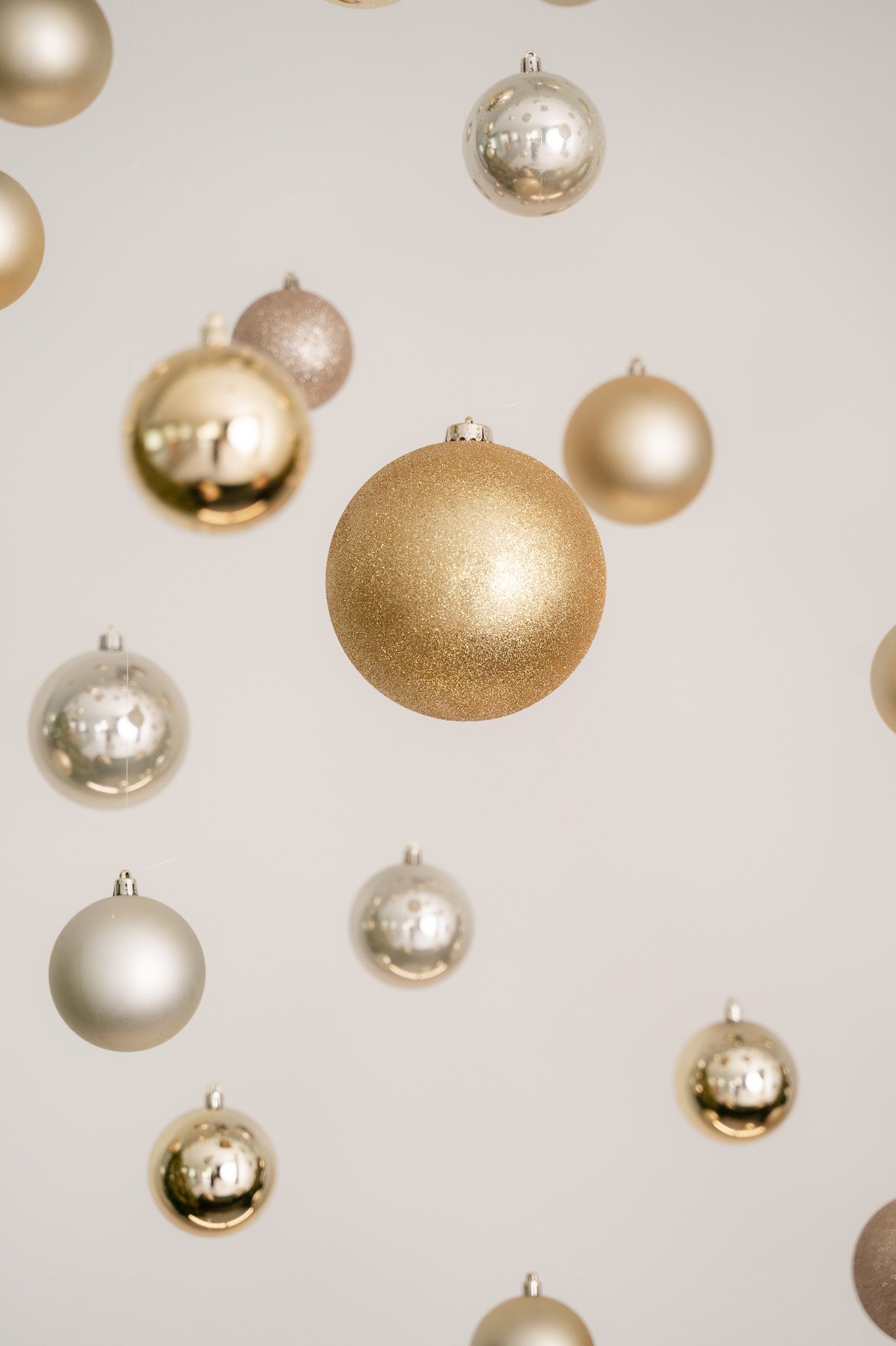 Christmas 2024 Mini Sessions - Laura Pulliam Photography