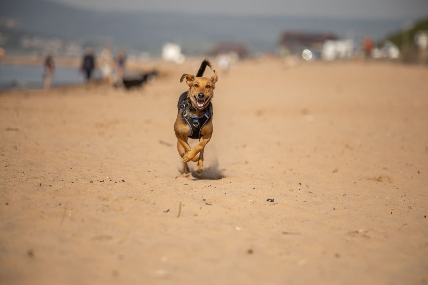 Gallery A Copy Copy Copy Copy Copy Copy - Andy Pull Photography