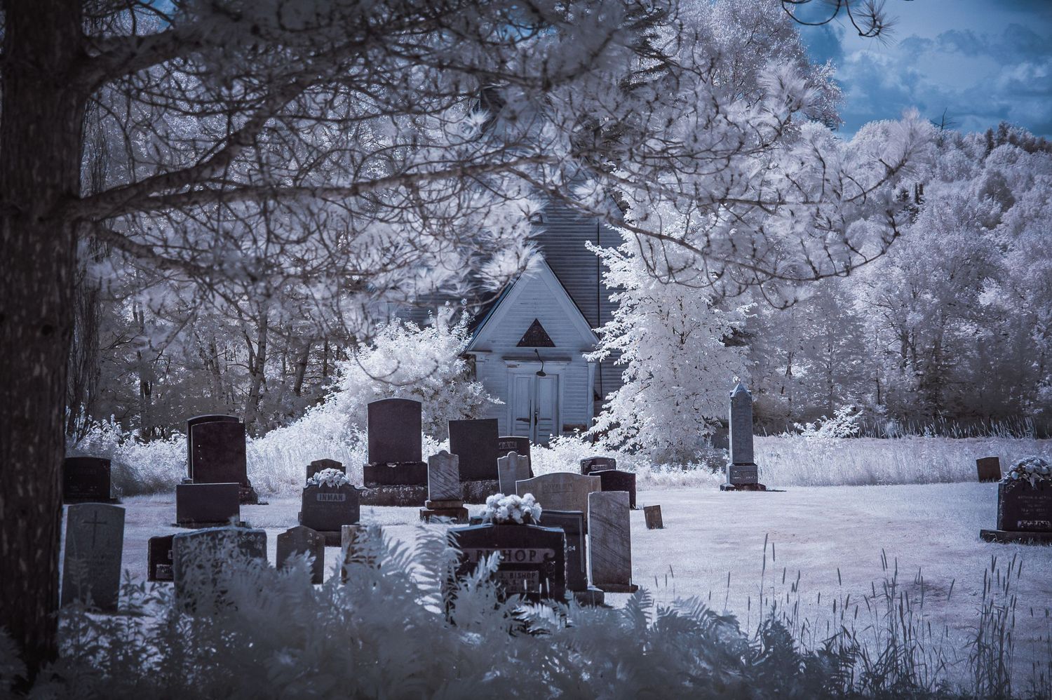 Photographie Infrarouge - Michaël Pigeon Photographe