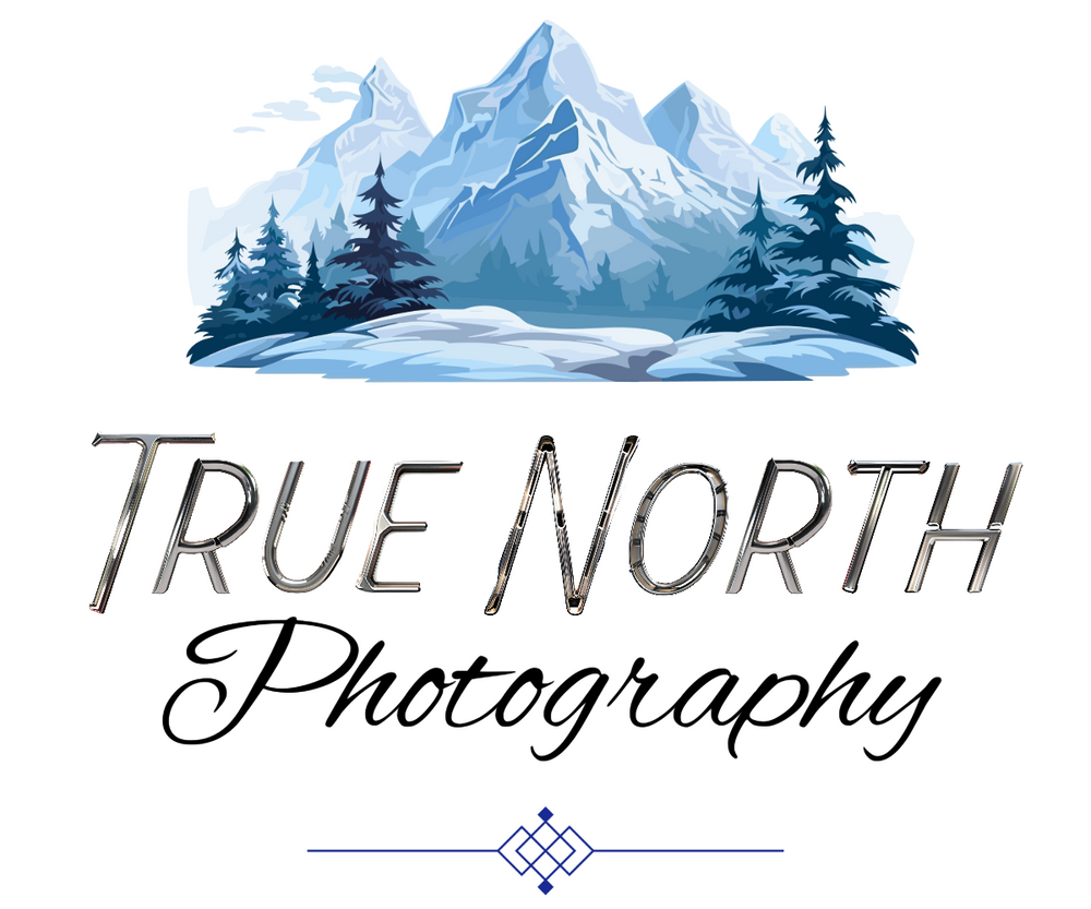 True North Photography