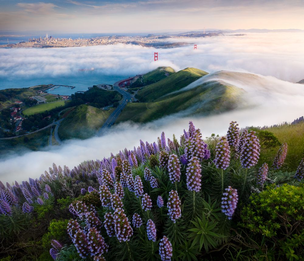 landESCAPEvisuals | Jeff Lewis | Innovative imagery | Fine art prints ...