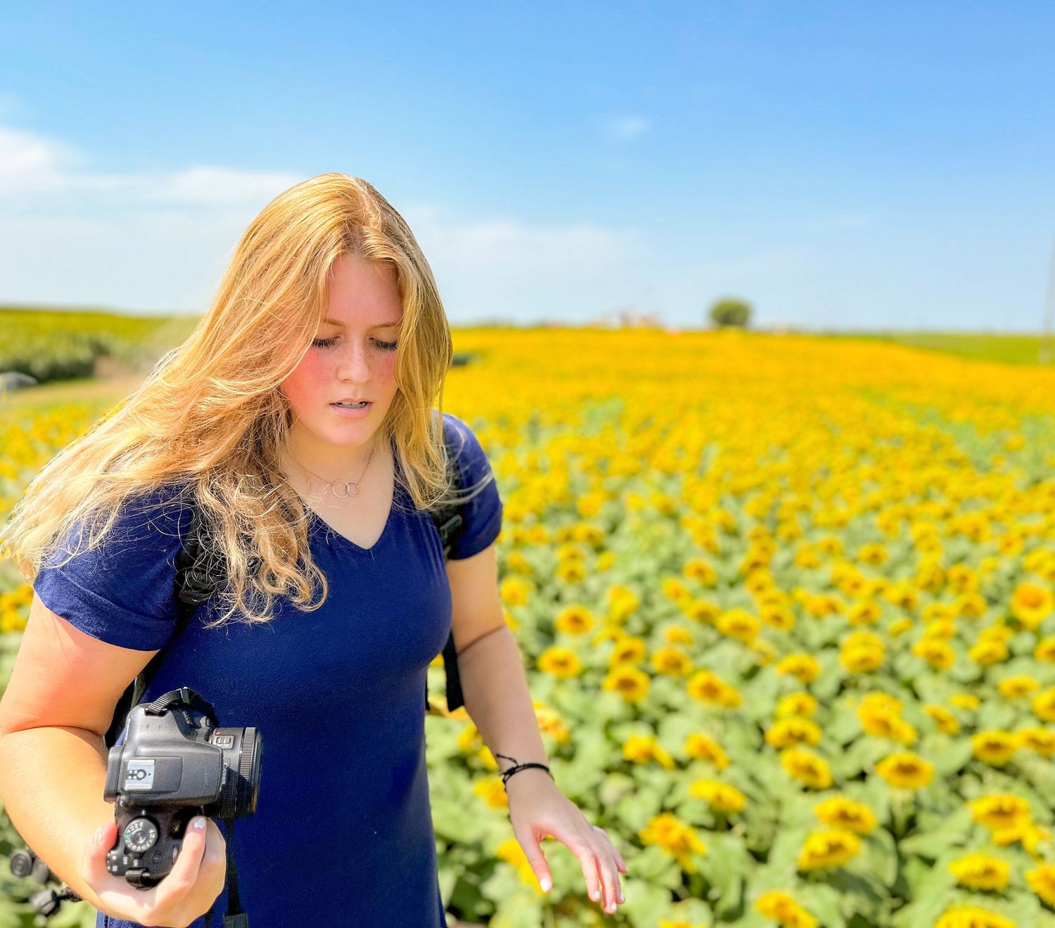 About - Alison Paige Photography