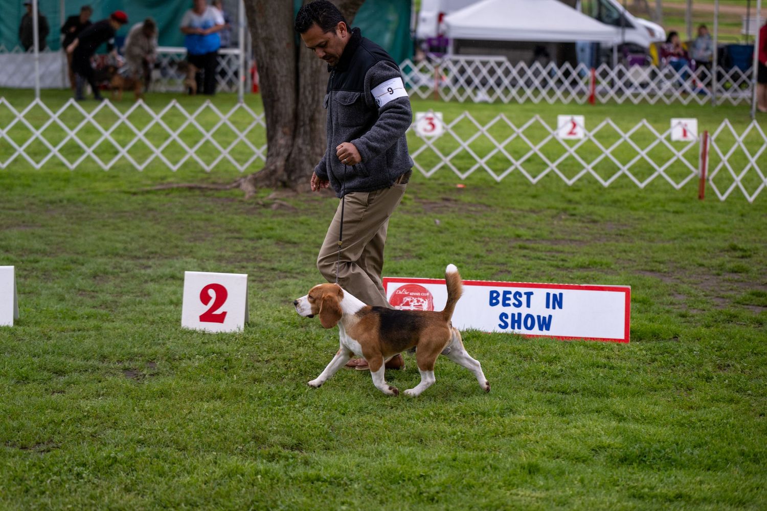 Ringside Requests - Ryan Ritter Photography