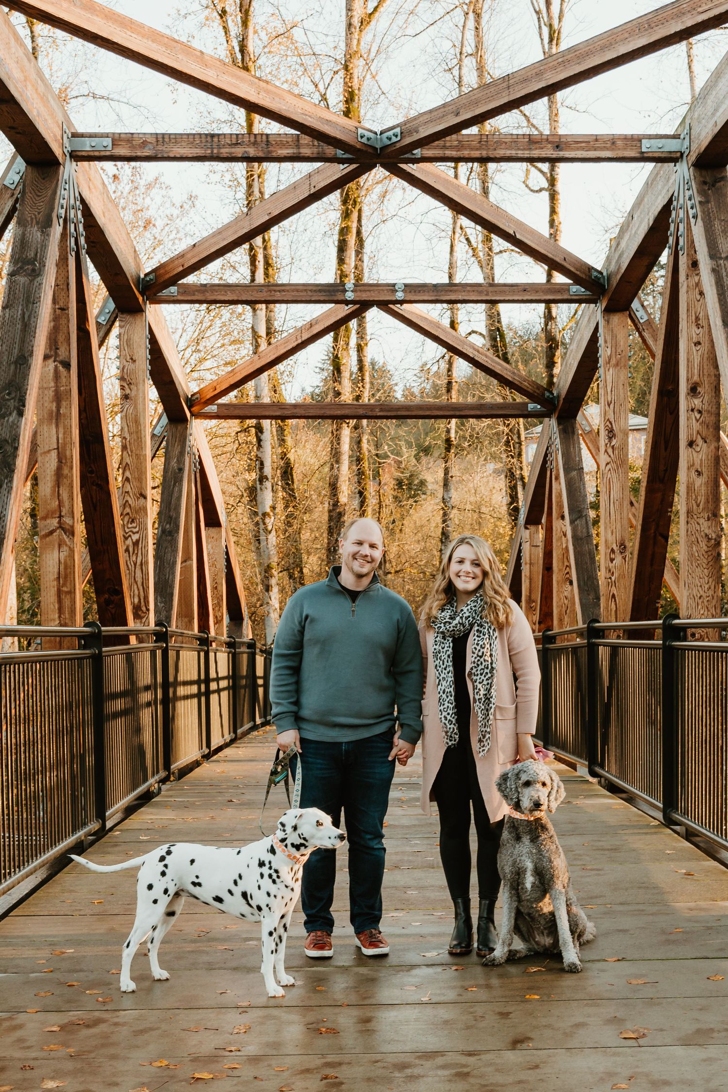 Seattle Dog Photography | Heather Locke Photography - Heather Locke ...