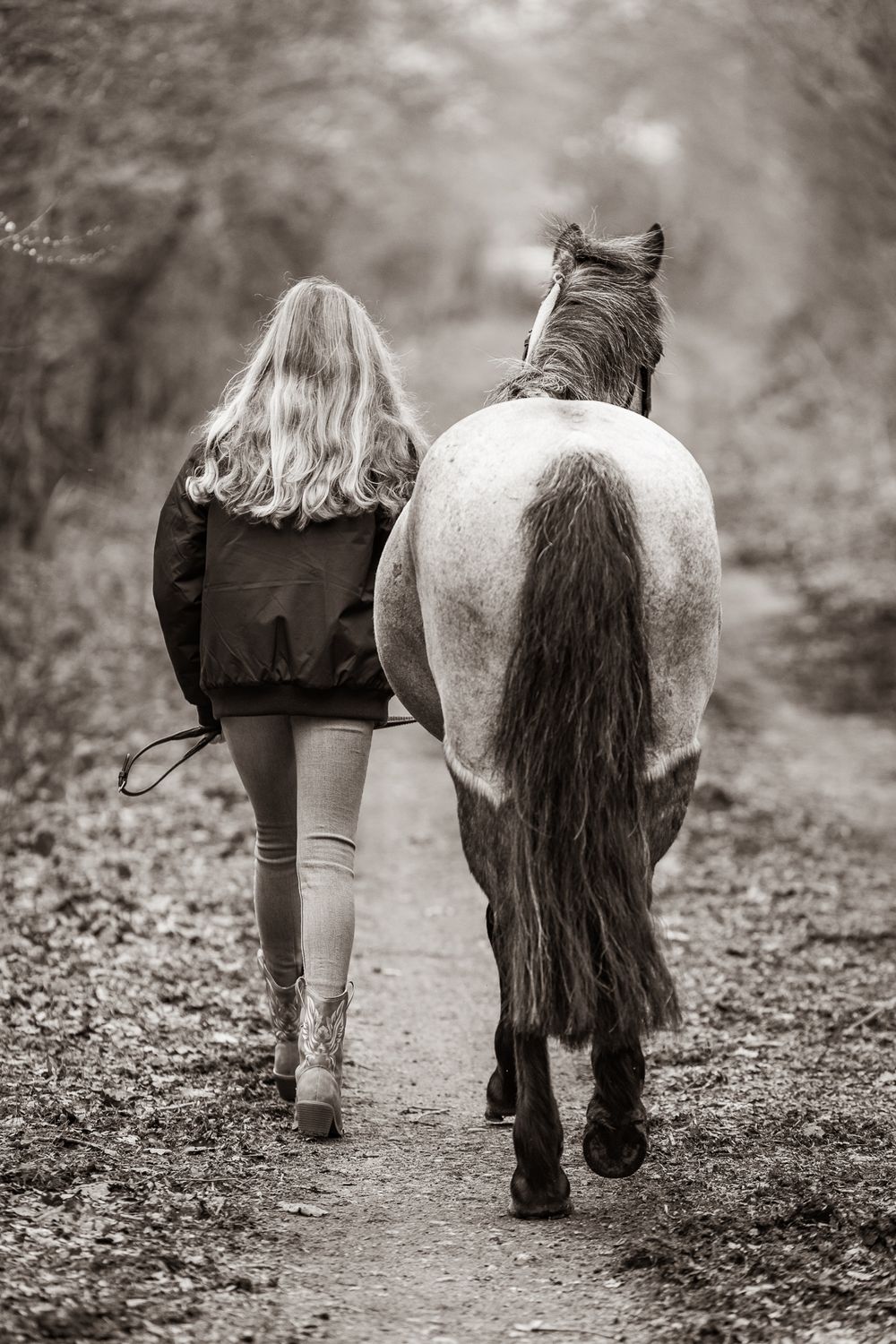 Arabella, Jasper & Marley - Imogen Moon ABIPP - Equine & Dog ...