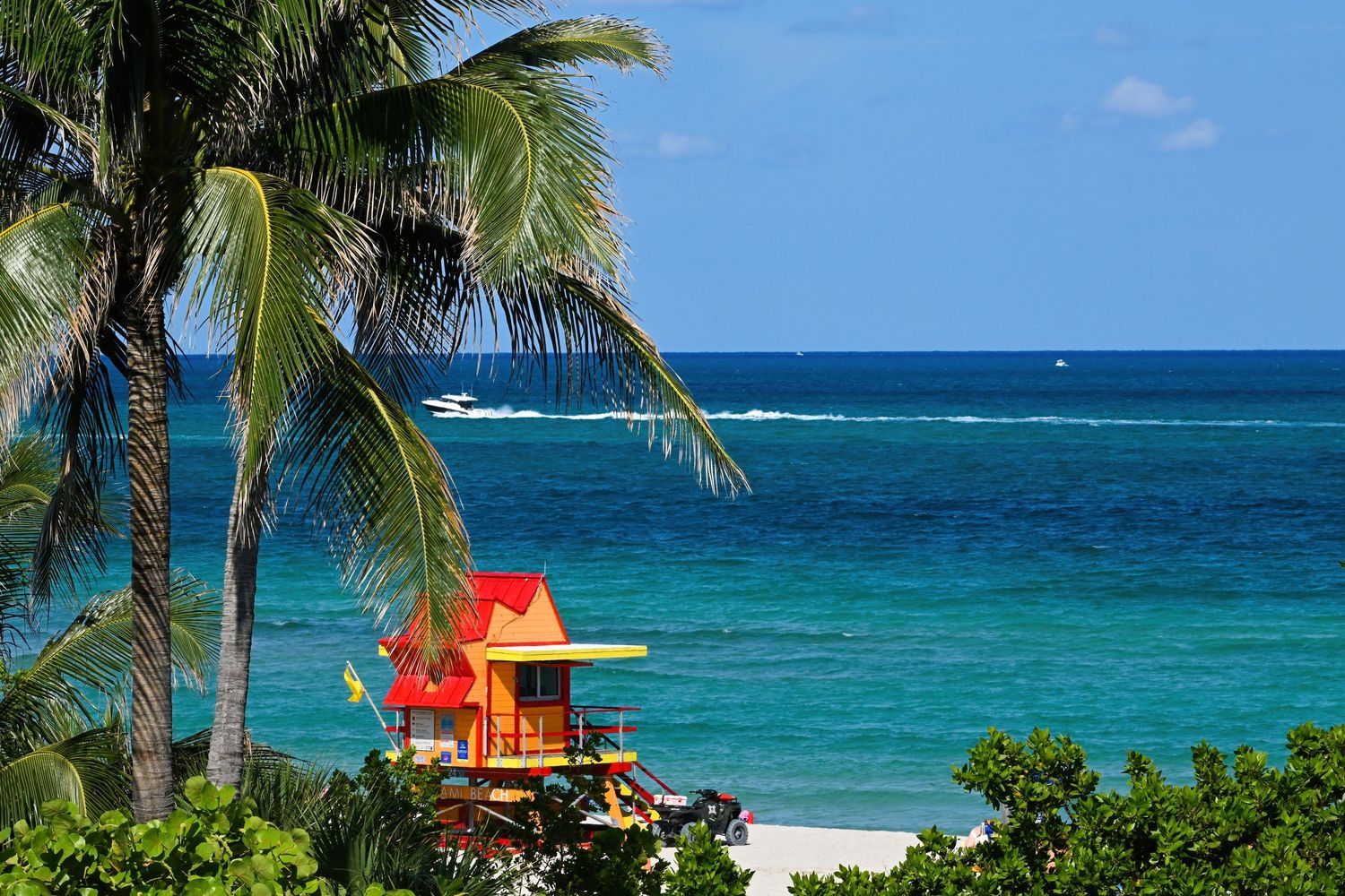 Portfolio - Scott Roth Perspective