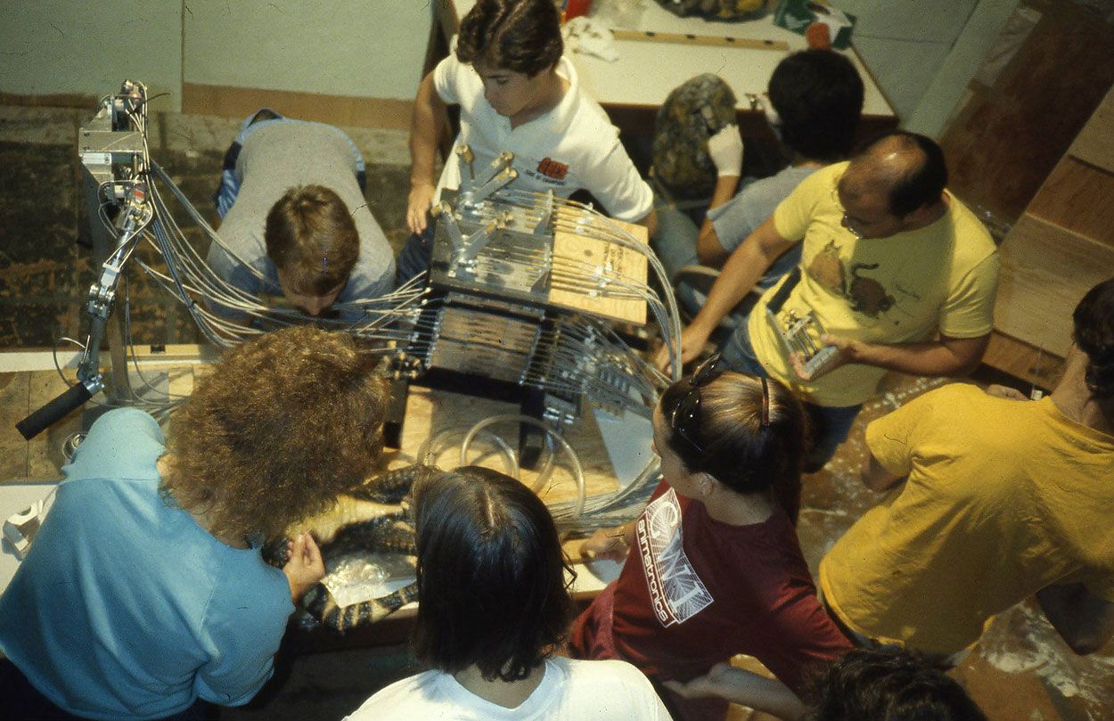 Animatronic Gremlin Movie Prop - The Gremlins Museum