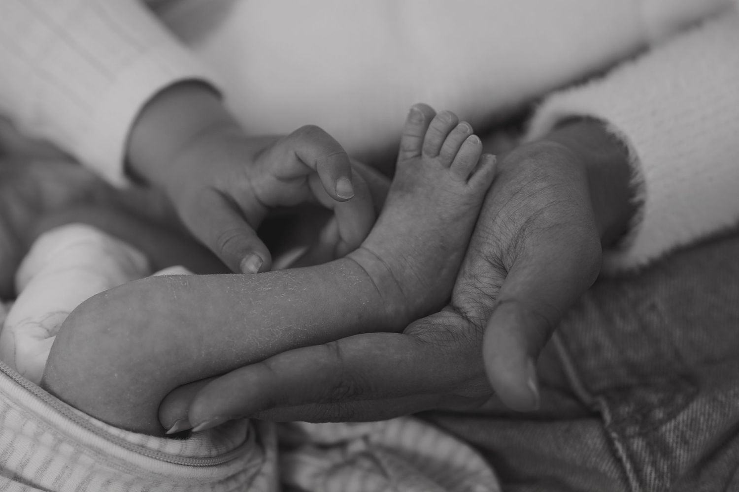 The Coster Family - Lelley Photography