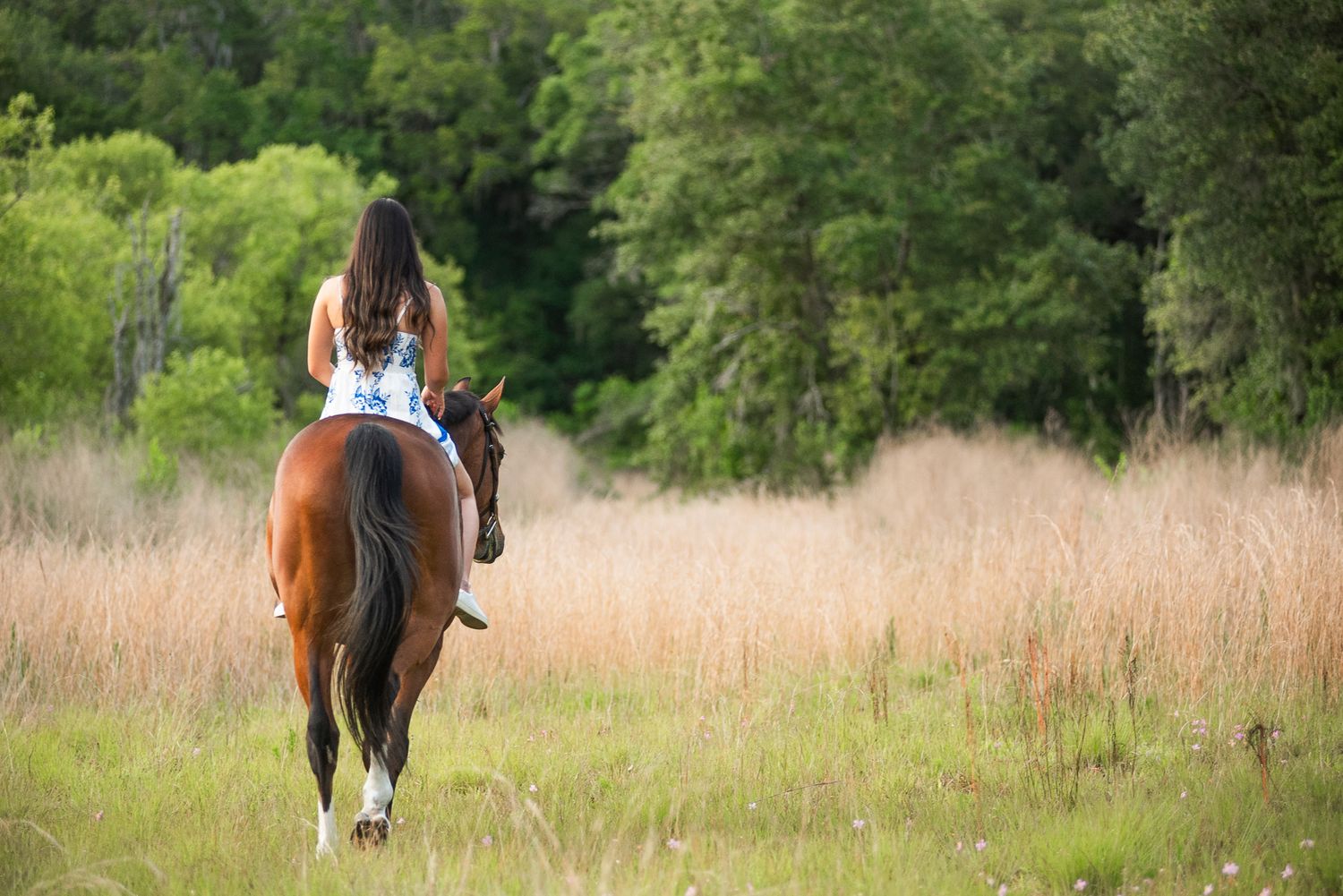 Horse + Rider | Ayse Demircan Photography: Florida Equine Photographer ...