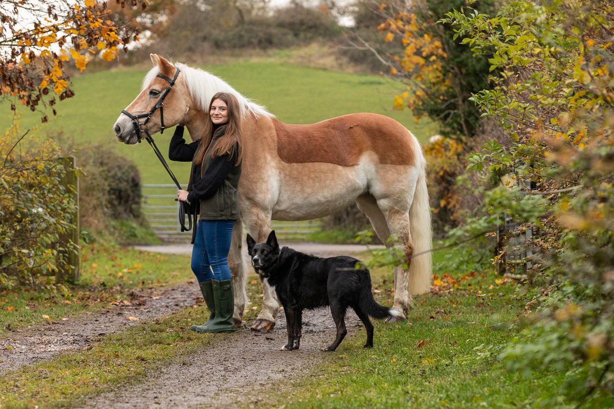 Erin & Honey - Imogen Moon ABIPP - Equine & Dog Photographer In Derbyshire