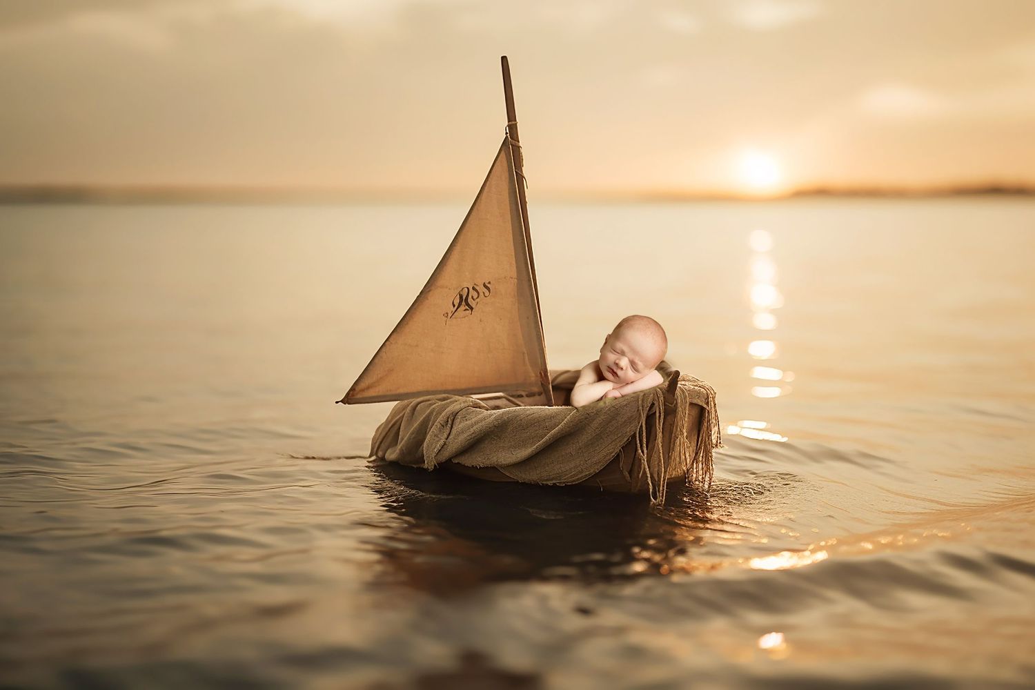 Shawna Faith Photography