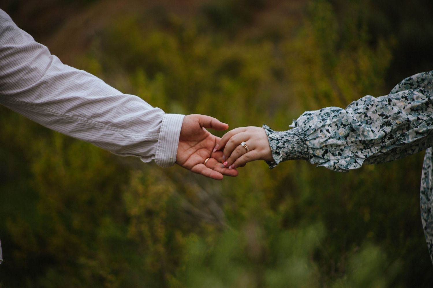 Acadia Rice Photography