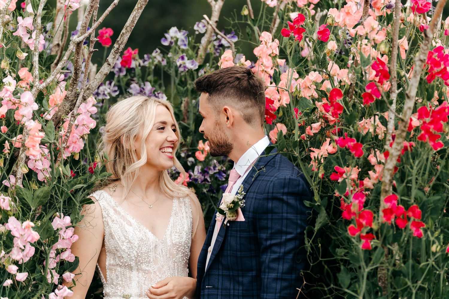 David Cook Photography