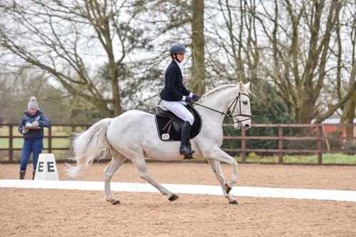 Equine Event - Hayley Vann Photography