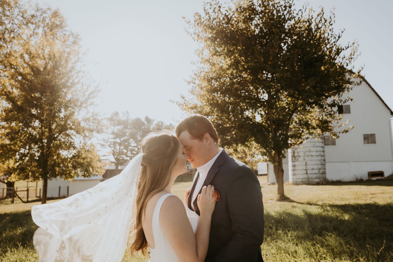 Gallery B - Wild Willow Farm