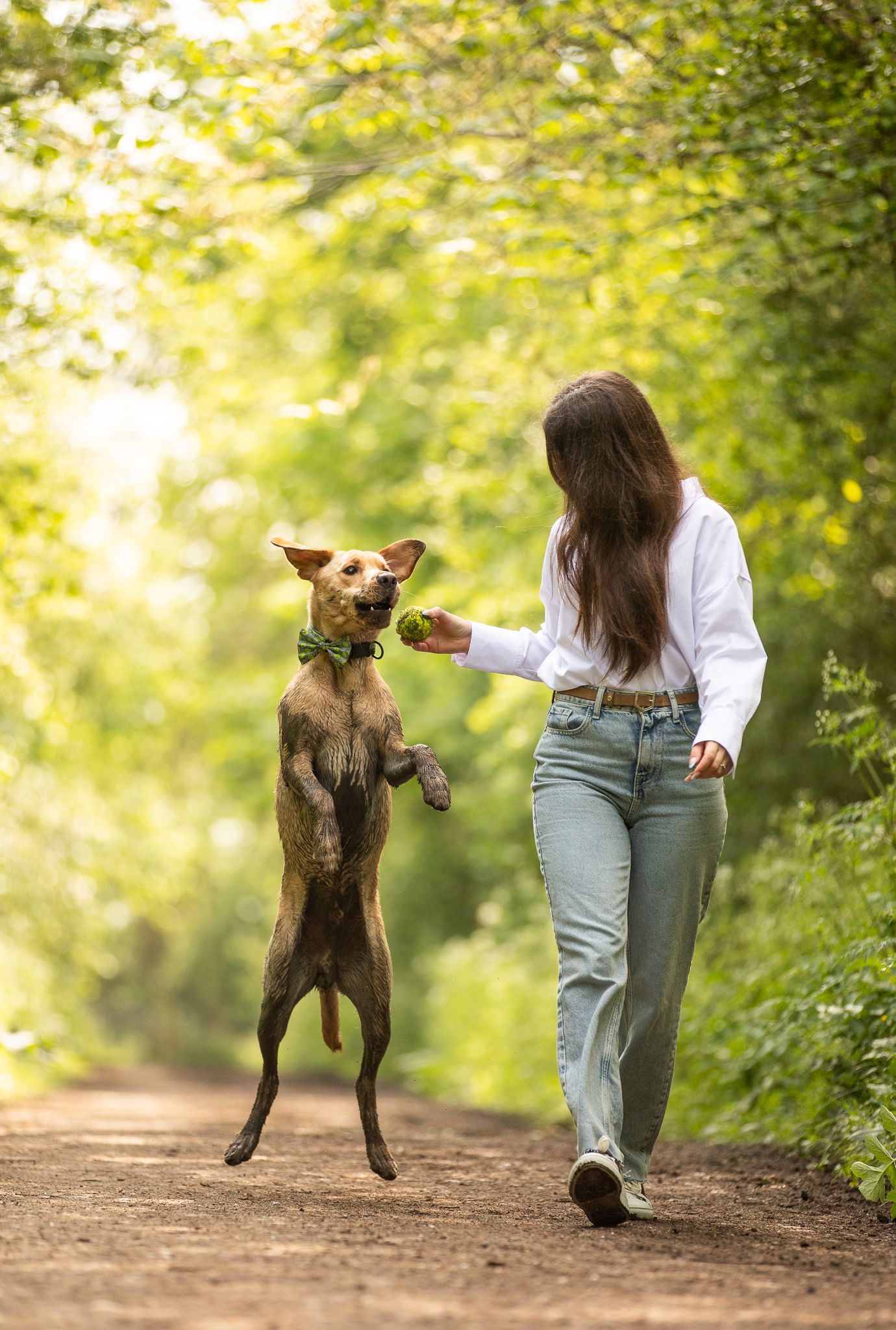 Payton & Milo - Imogen Moon ABIPP - Equine & Dog Photographer In Derbyshire