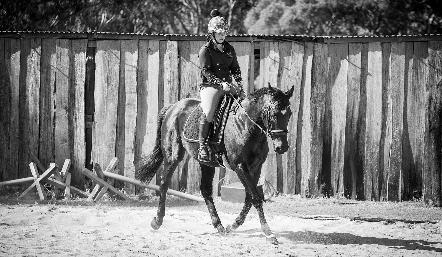 Wild images Photography