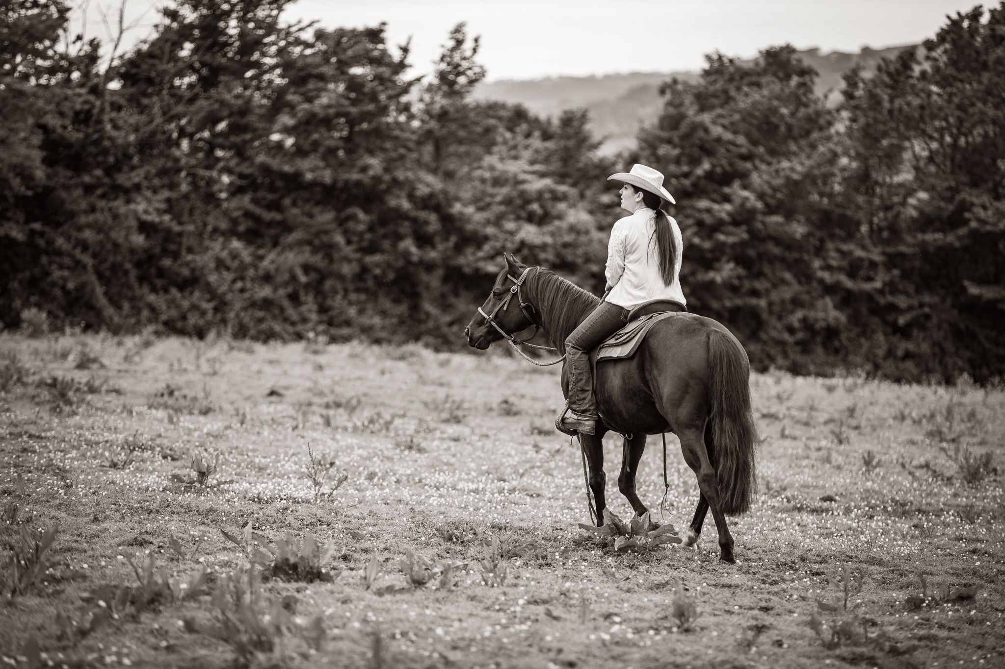 Idyllwild Horsemanship - Kimberly Dunn - Imogen Moon ABIPP - Equine ...