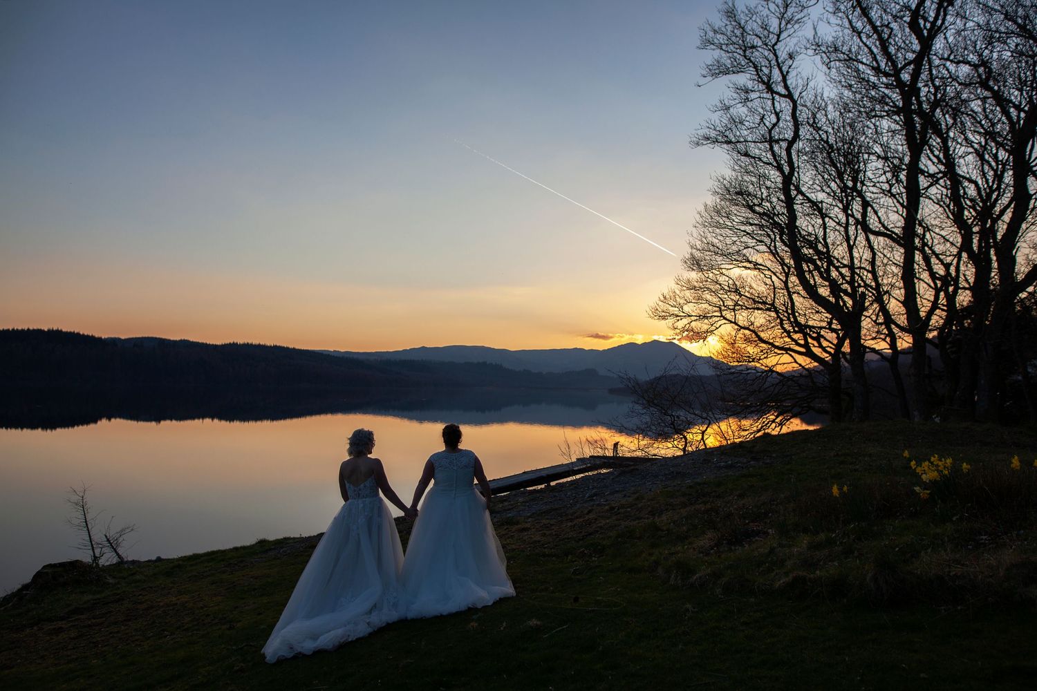 Wild Soul Photography