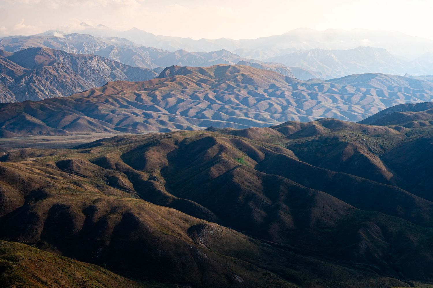 Landscapes - Nicholas Coe