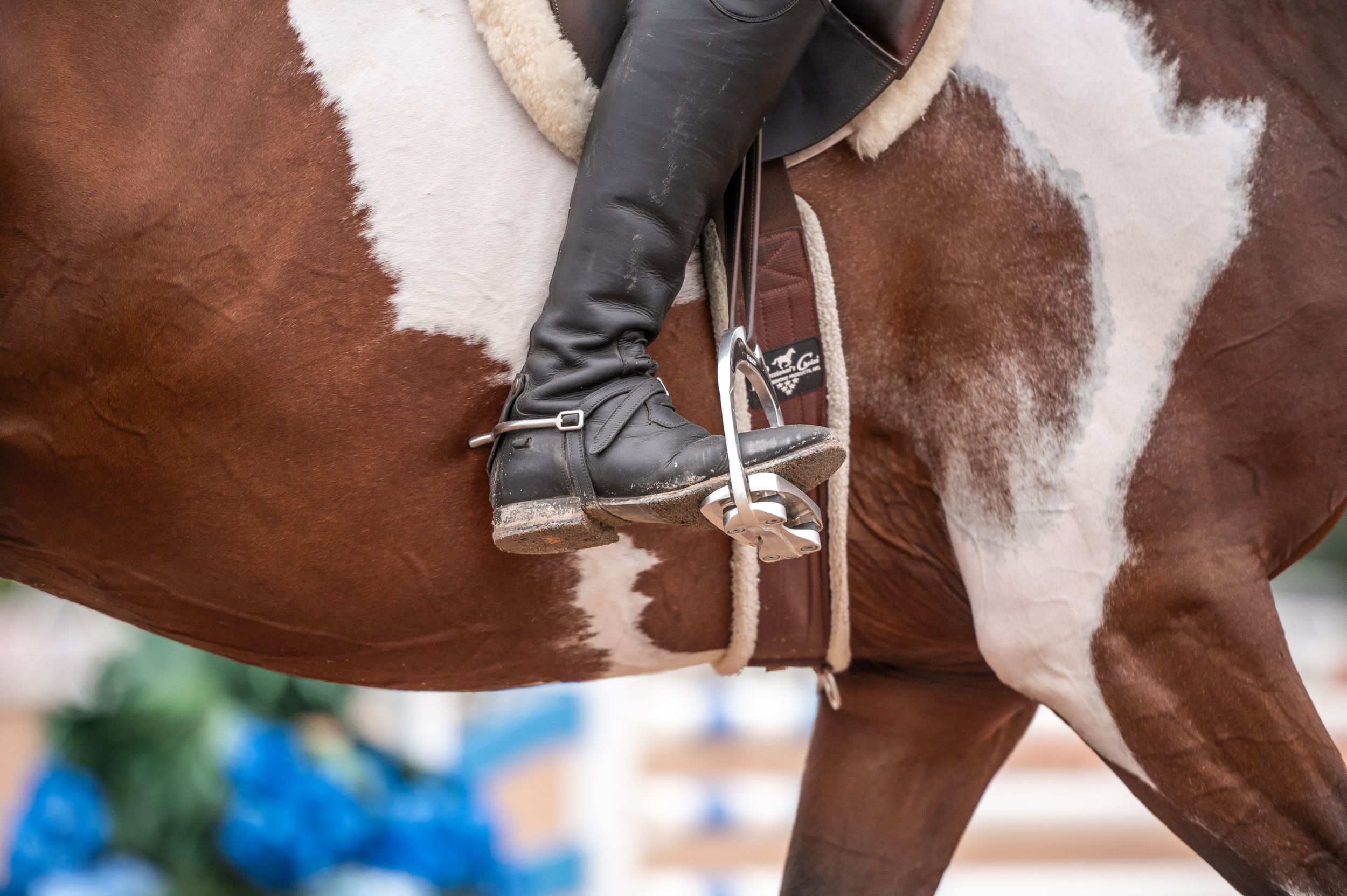 Proofs - Madeline Ball Photography