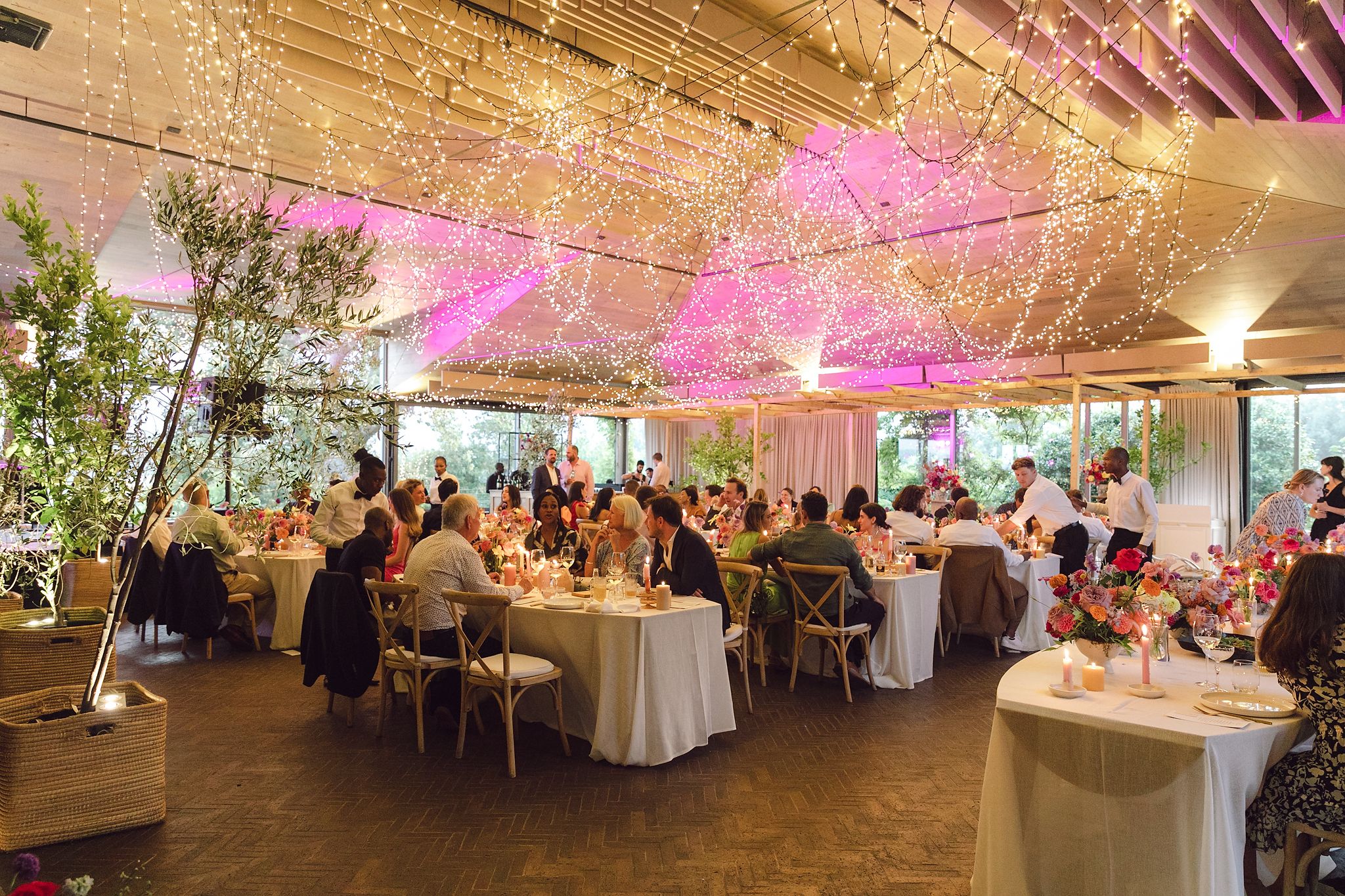 Johannesdal 1207 Weddings – A Photographer’s Spotlight on a Cape ...