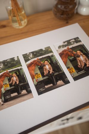 The Perfect Heirloom - My Brand New Album - Imogen Moon ABIPP - Equine ...