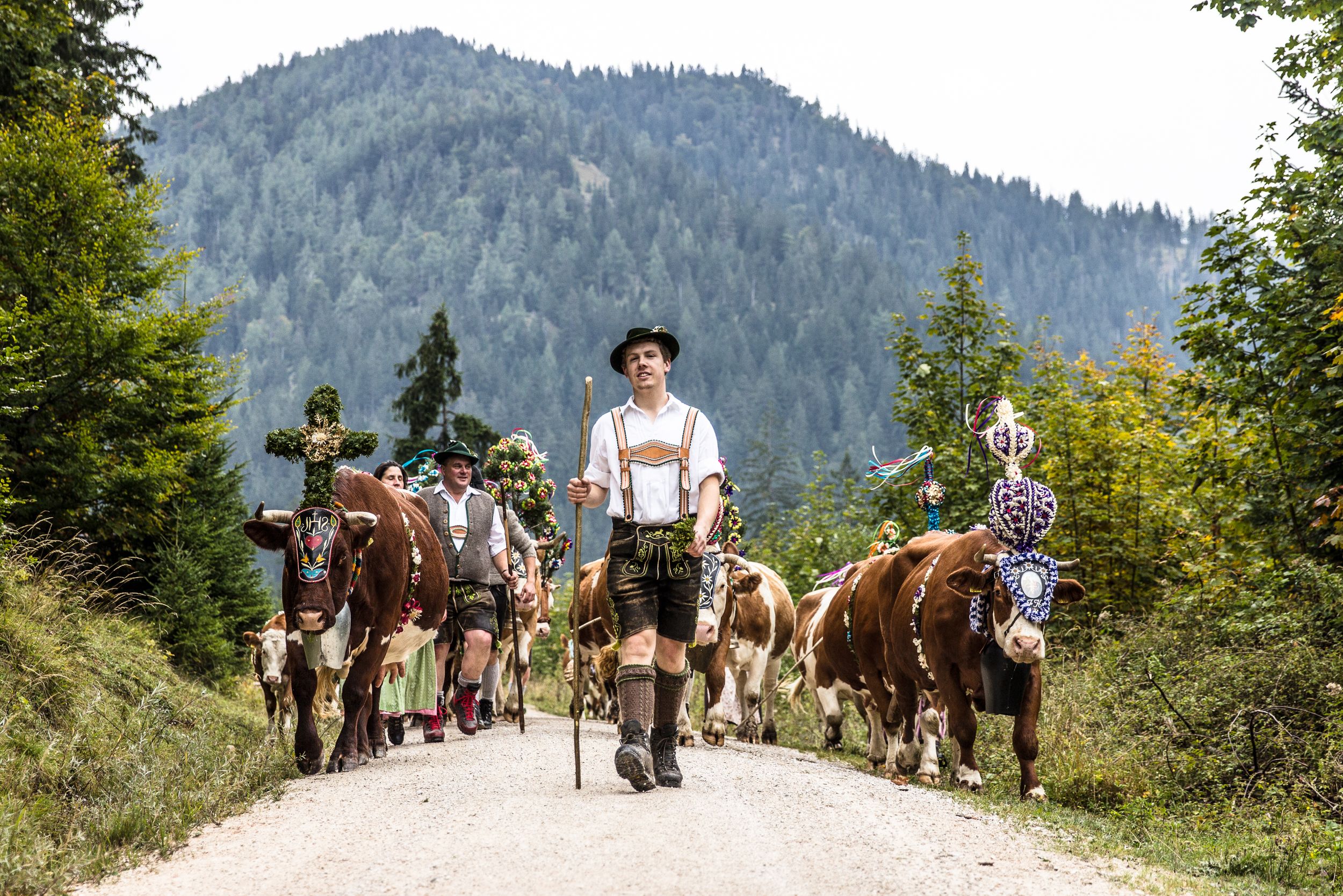 Almabtrieb | Da Schachten - Da Schachten | Echte alpenländische ...