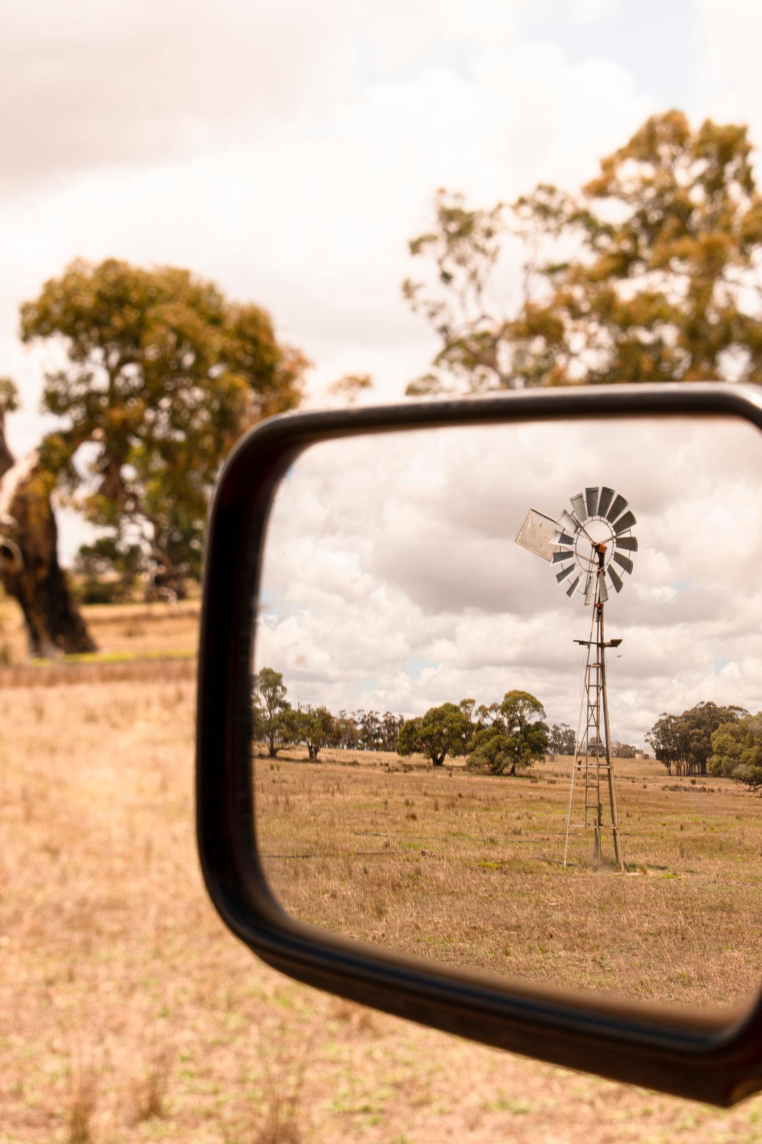 Gallery B - Sally Patterson