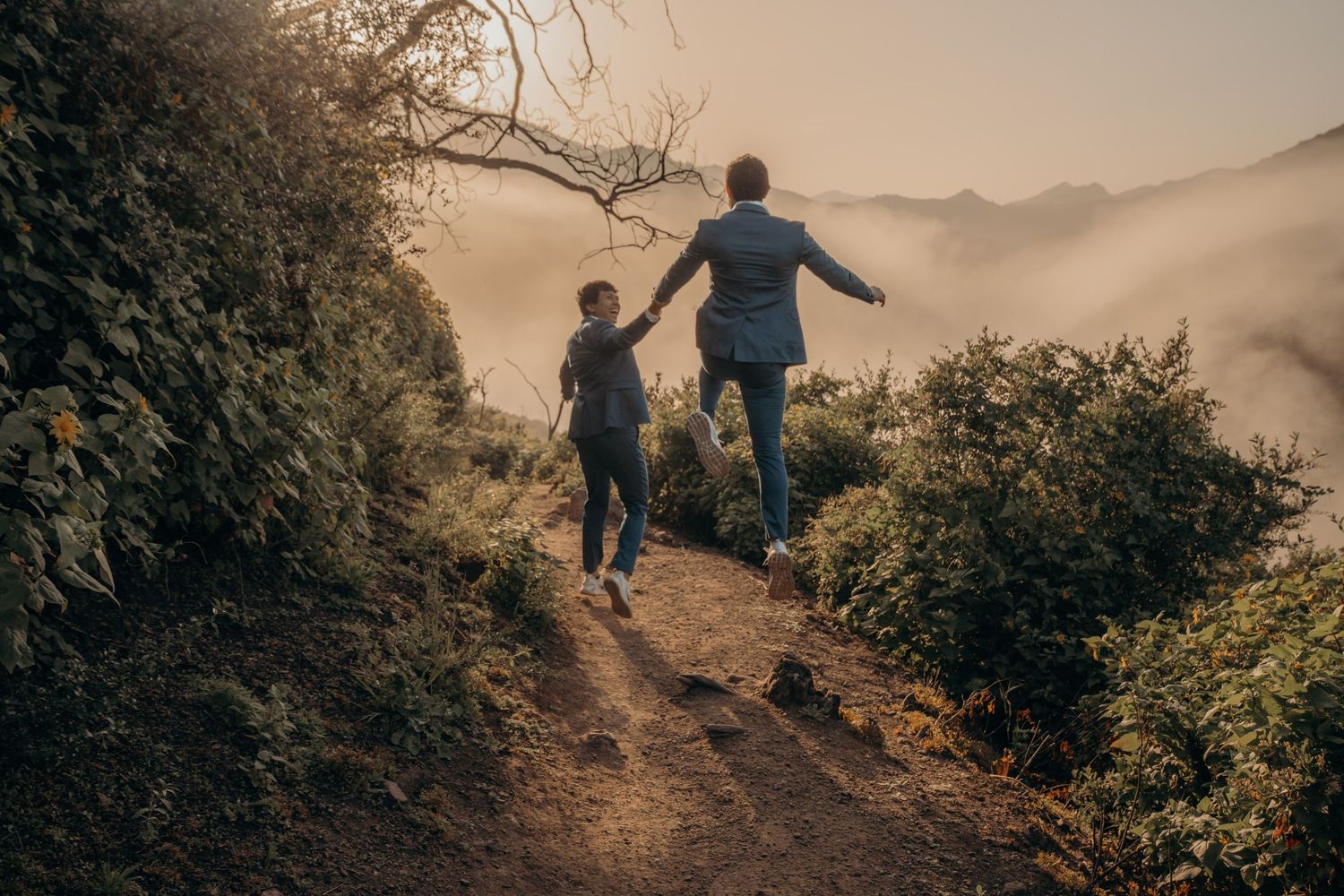 Contact - Daniel Daleon Studio