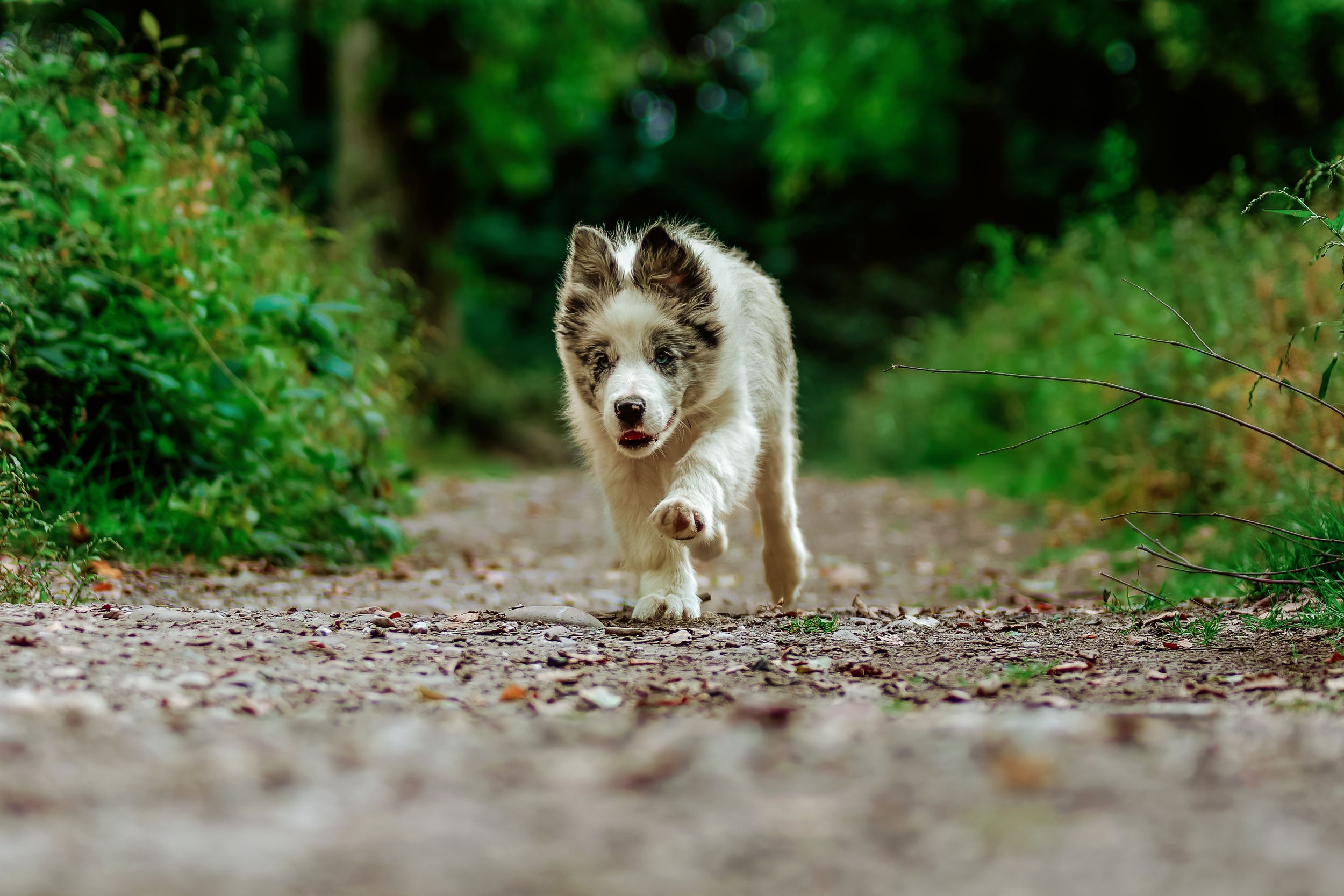 Gallery A Copy Copy Copy - Andy Pull Photography