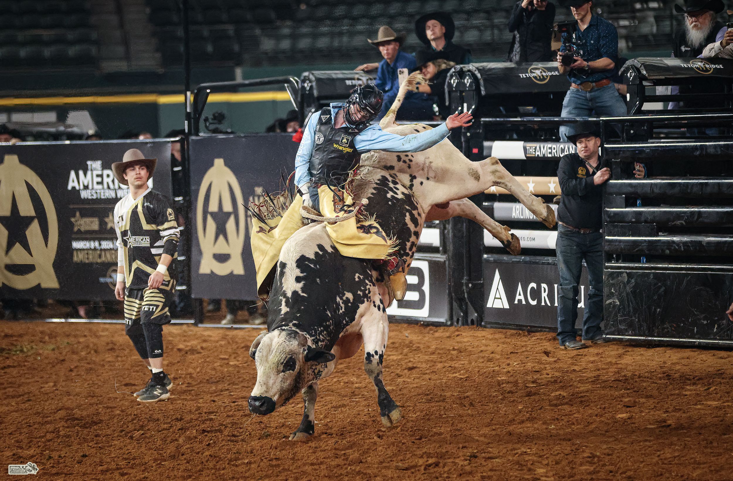 Wild Rodeo Photography