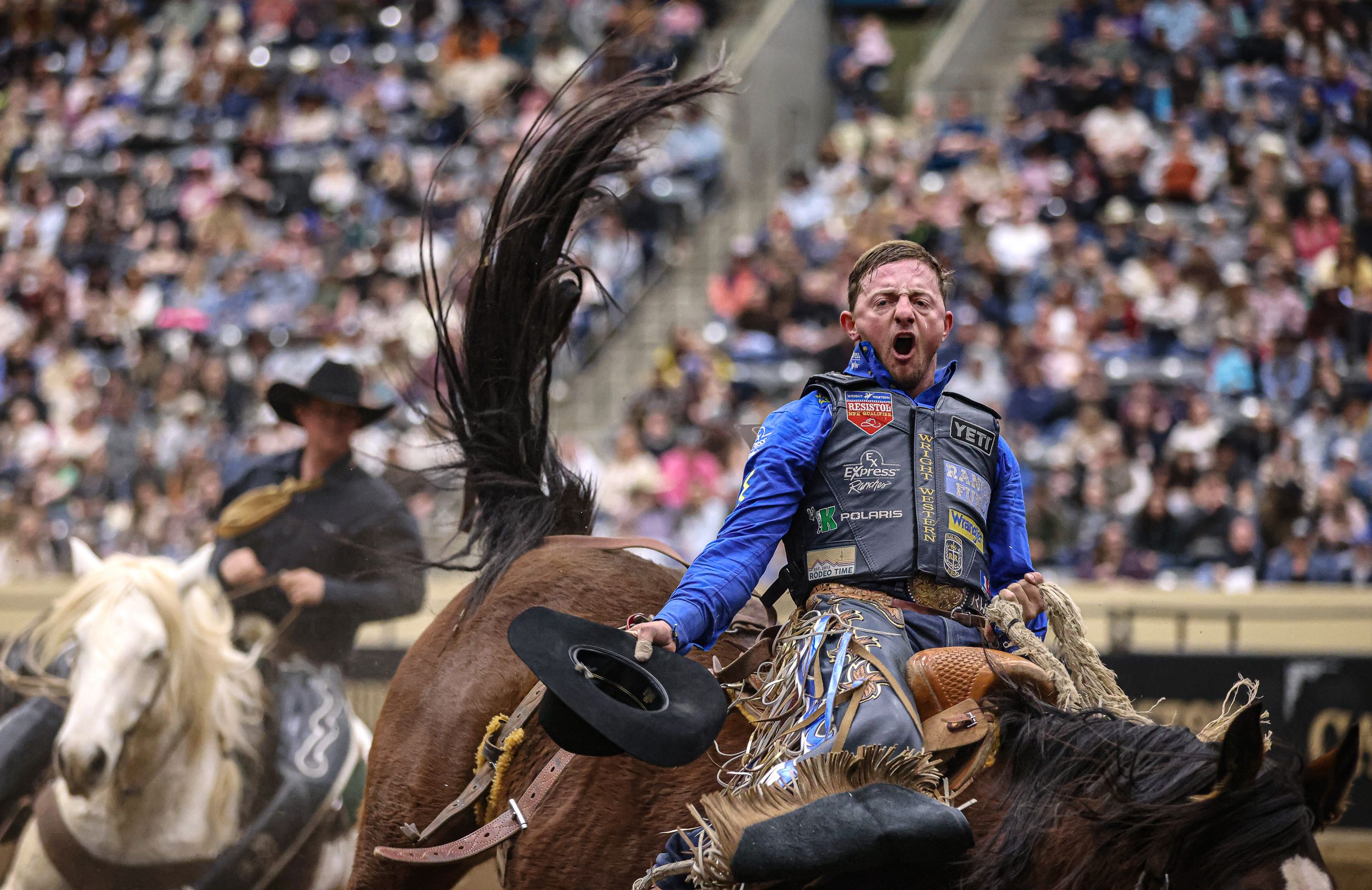 Wild Rodeo Photography