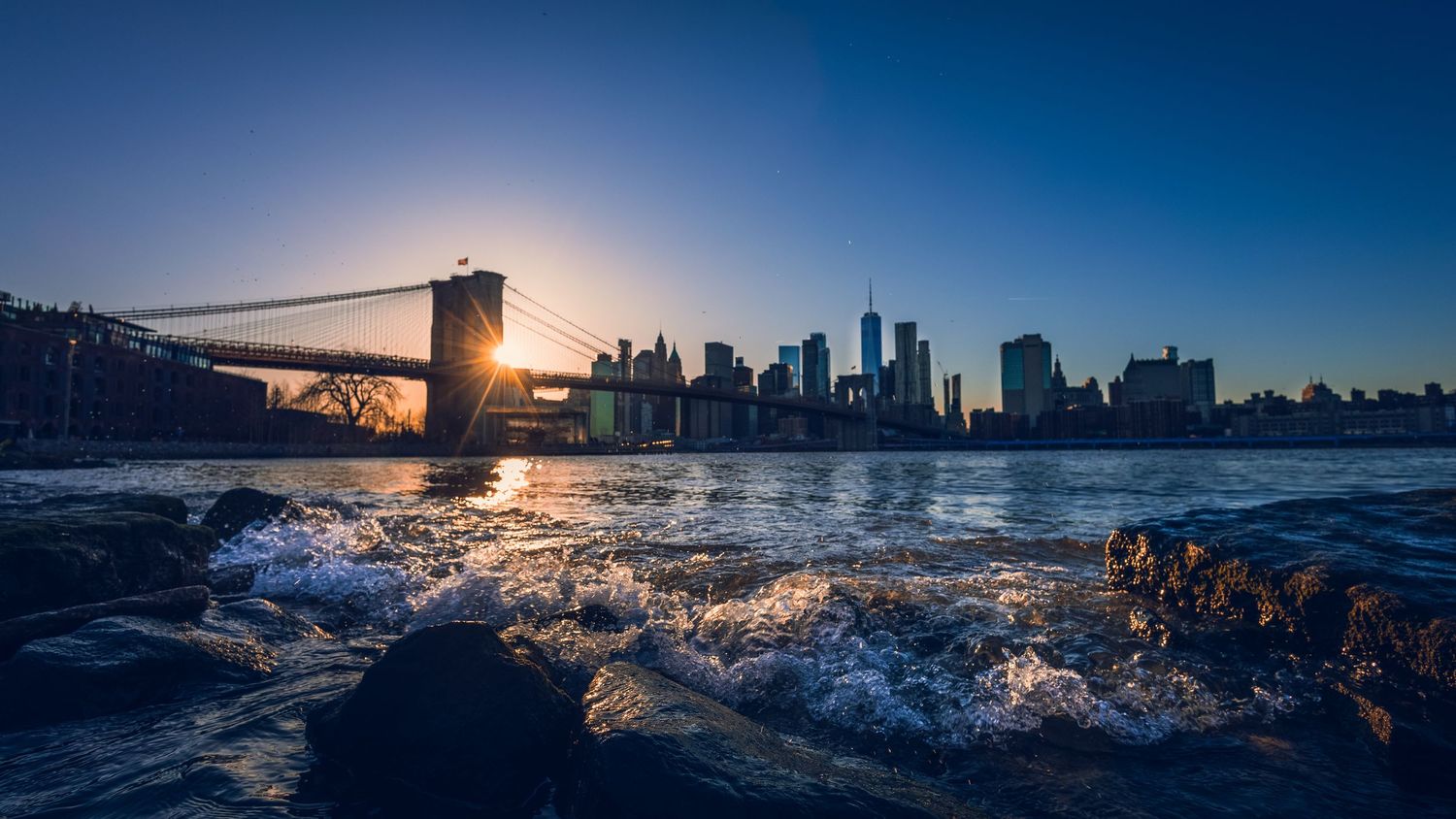 Casual Copy Copy - Wayne Mahy Photography