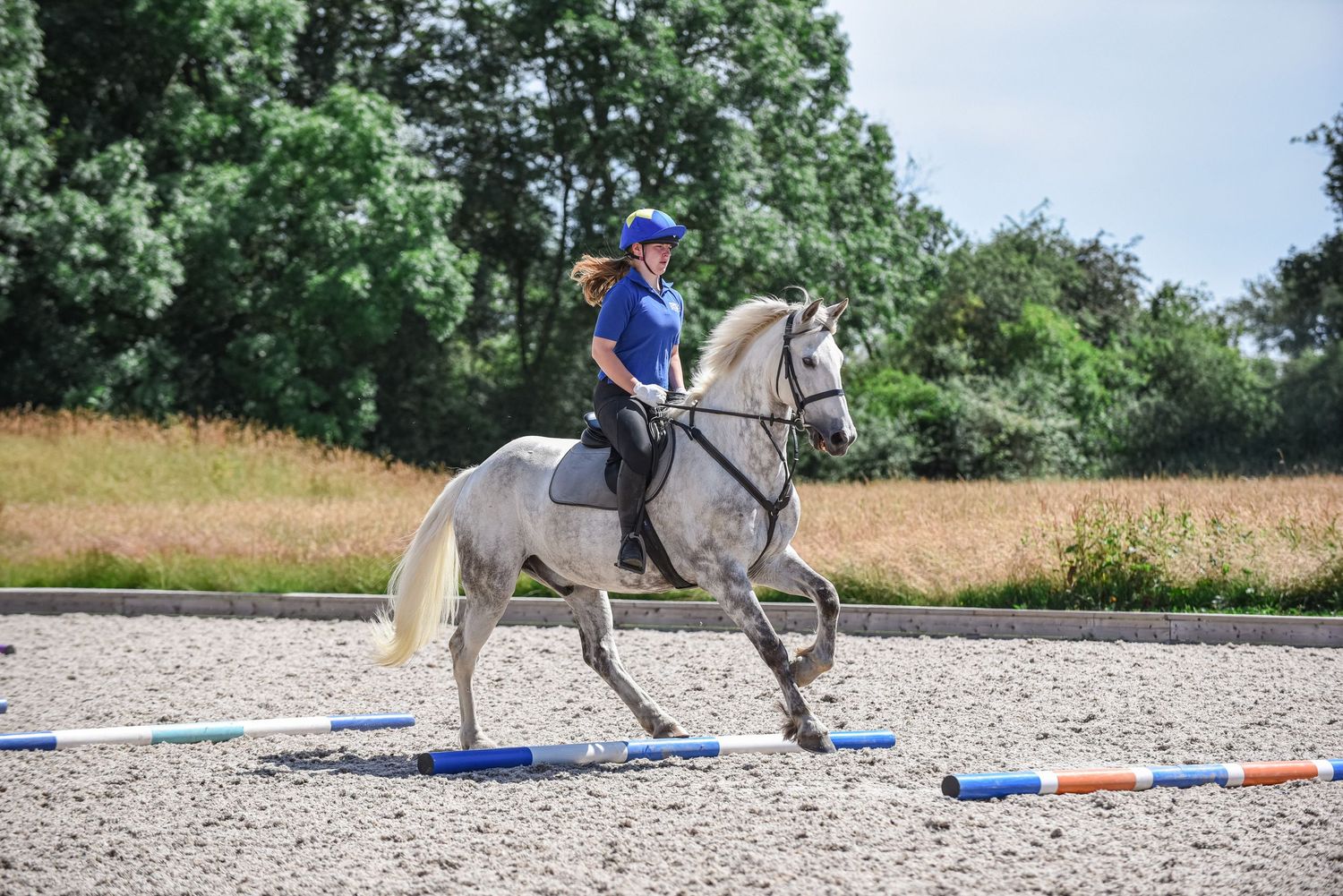 Pole work clinic with Millie McBride at Clements End Farm Livery, Hertfordshire - Holly ...