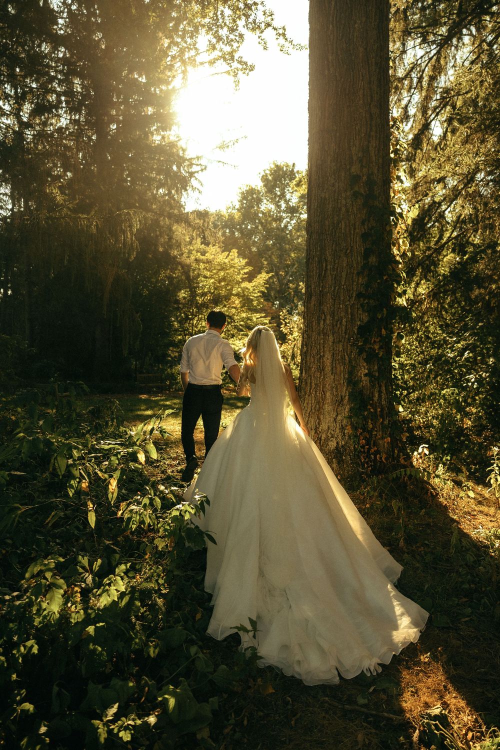 Investment - Haley Walsh Photography
