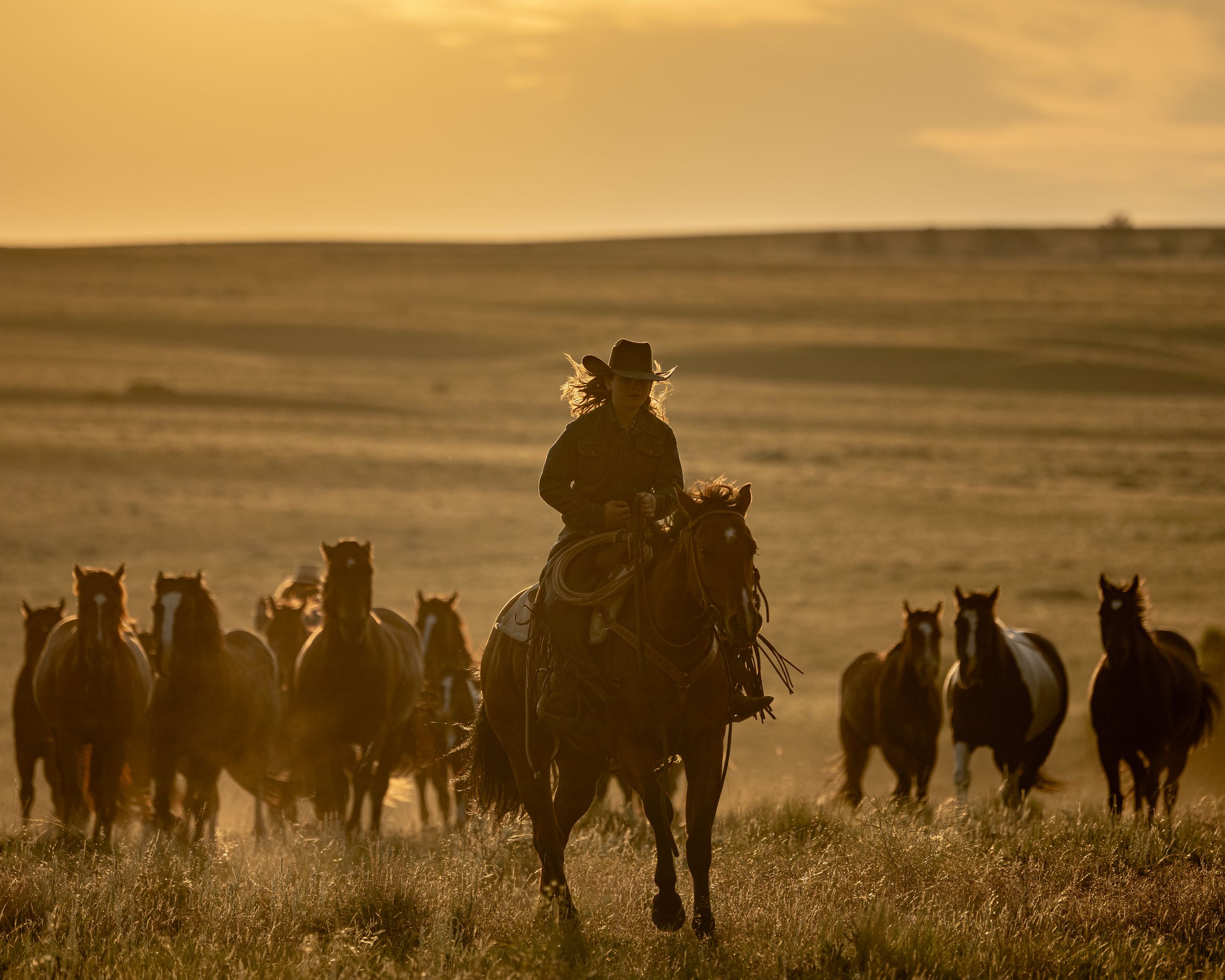 Patti Monson Photography