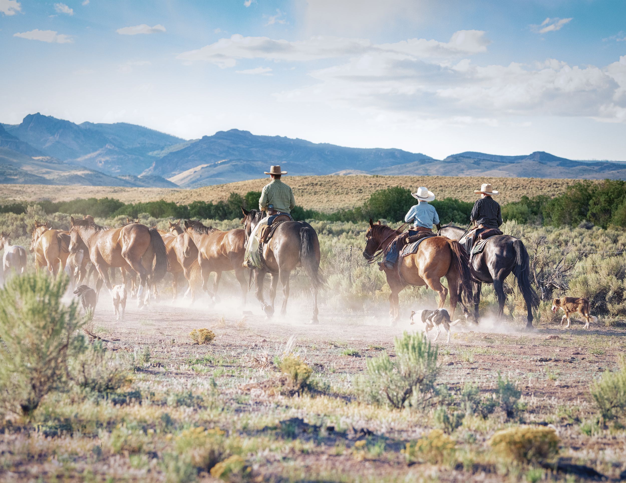 Patti Monson Photography