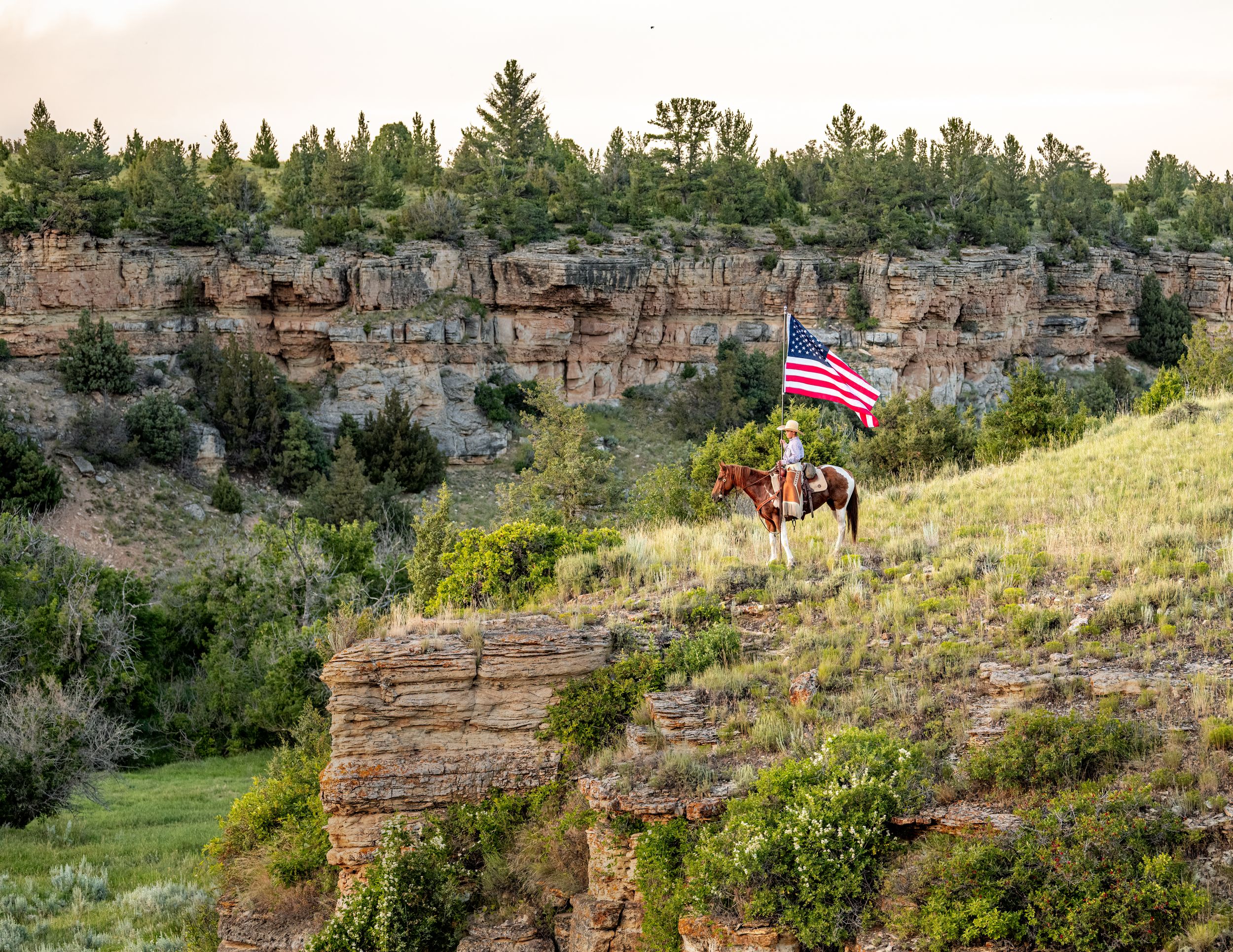 Patti Monson Photography