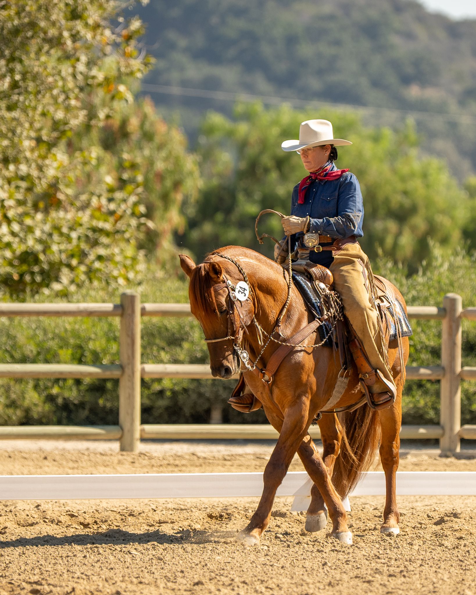 Patti Monson Photography