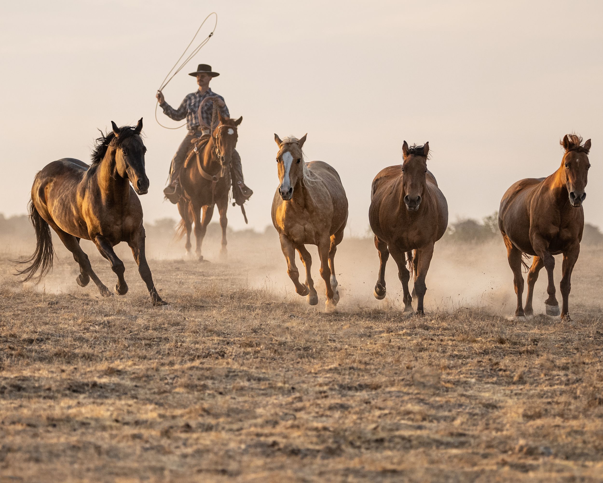 Patti Monson Photography