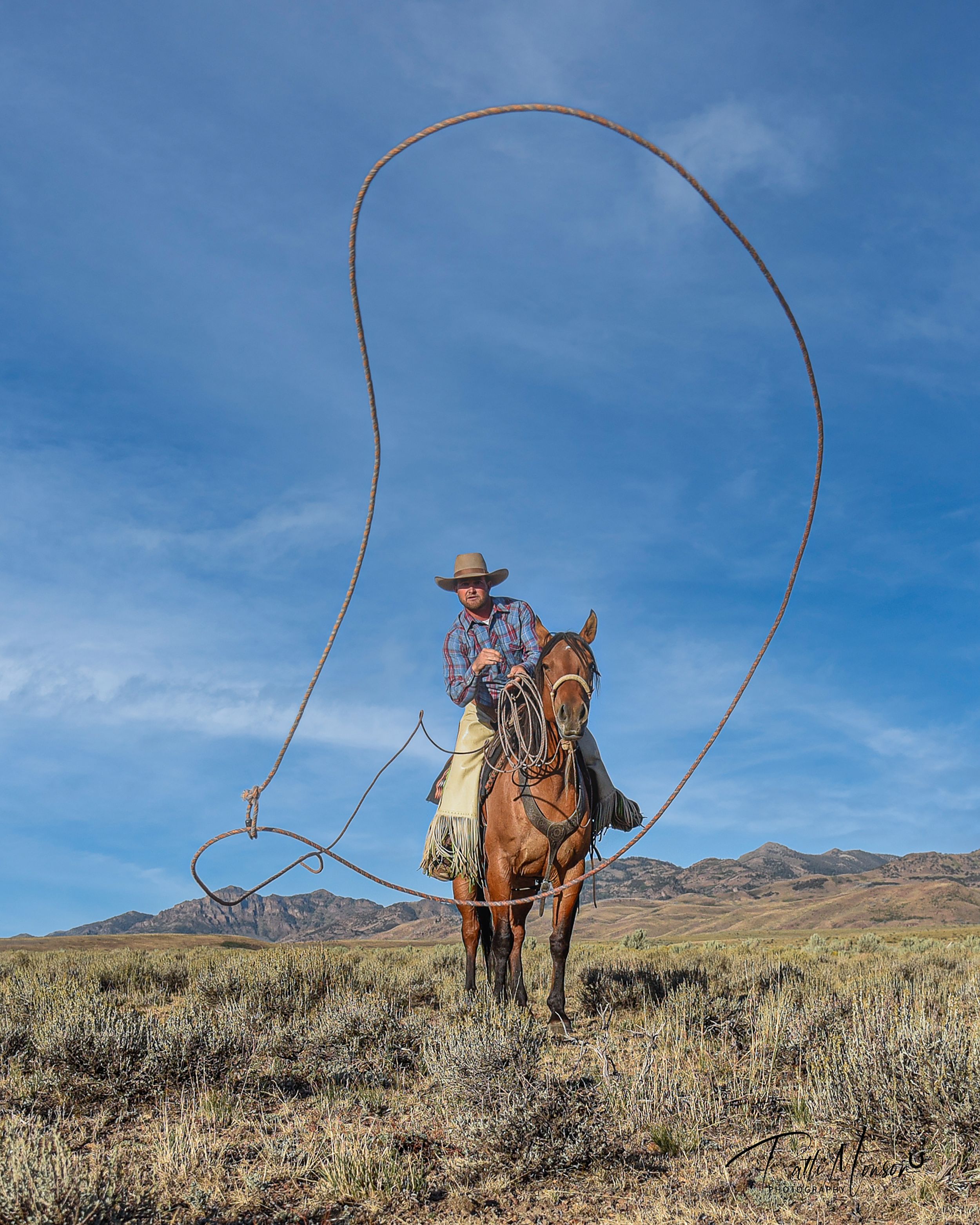 Patti Monson Photography