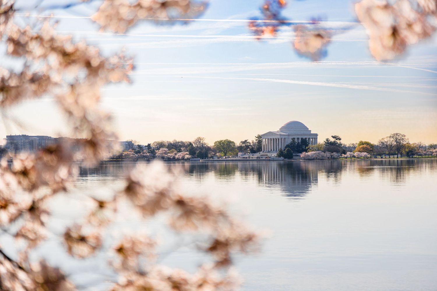Cherry Blossom Photo Session - Romee Photography & Video LLC.