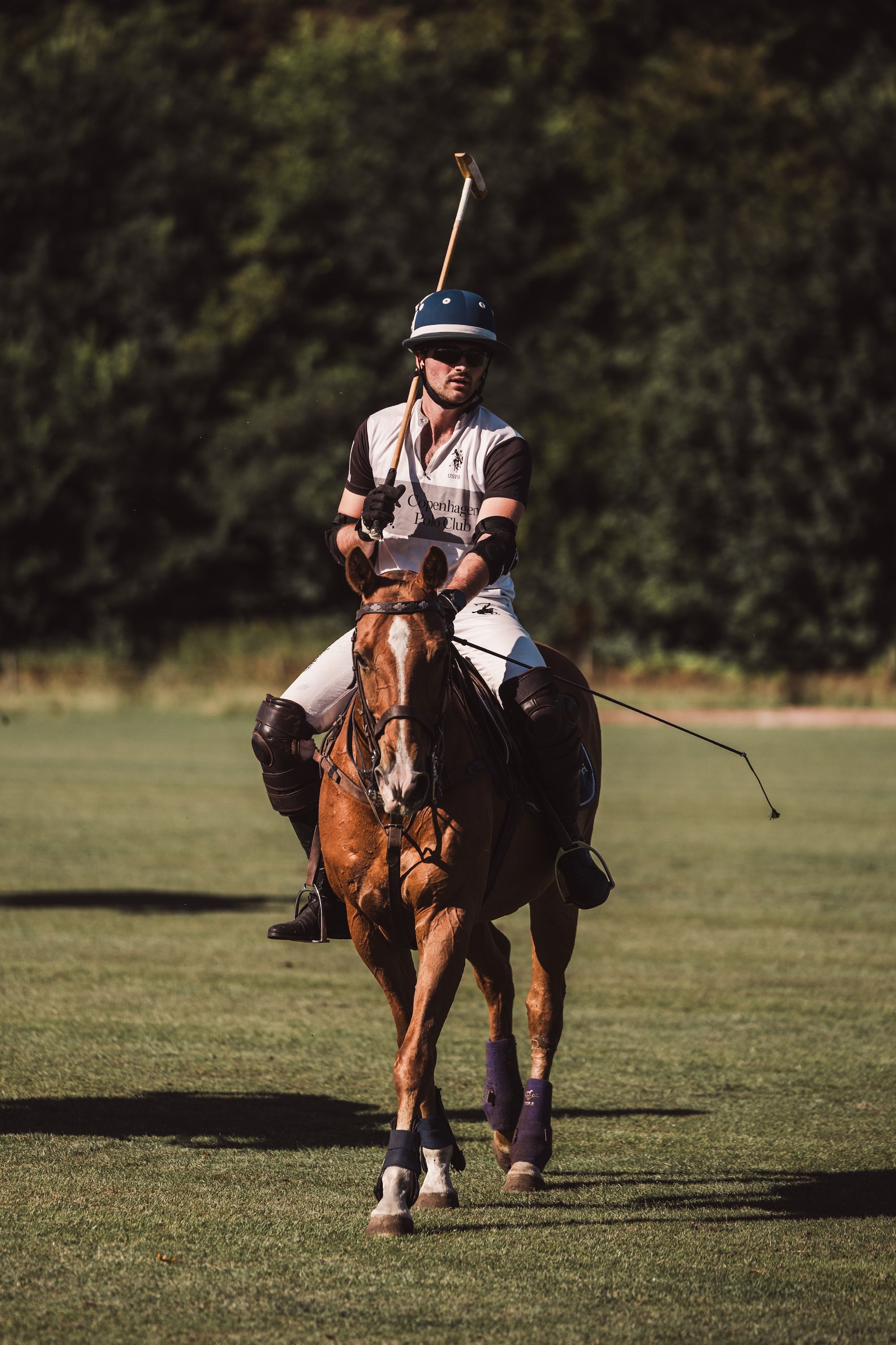 Polo Sport: The Game of the Kings - Anna Archinger | Horse Photography