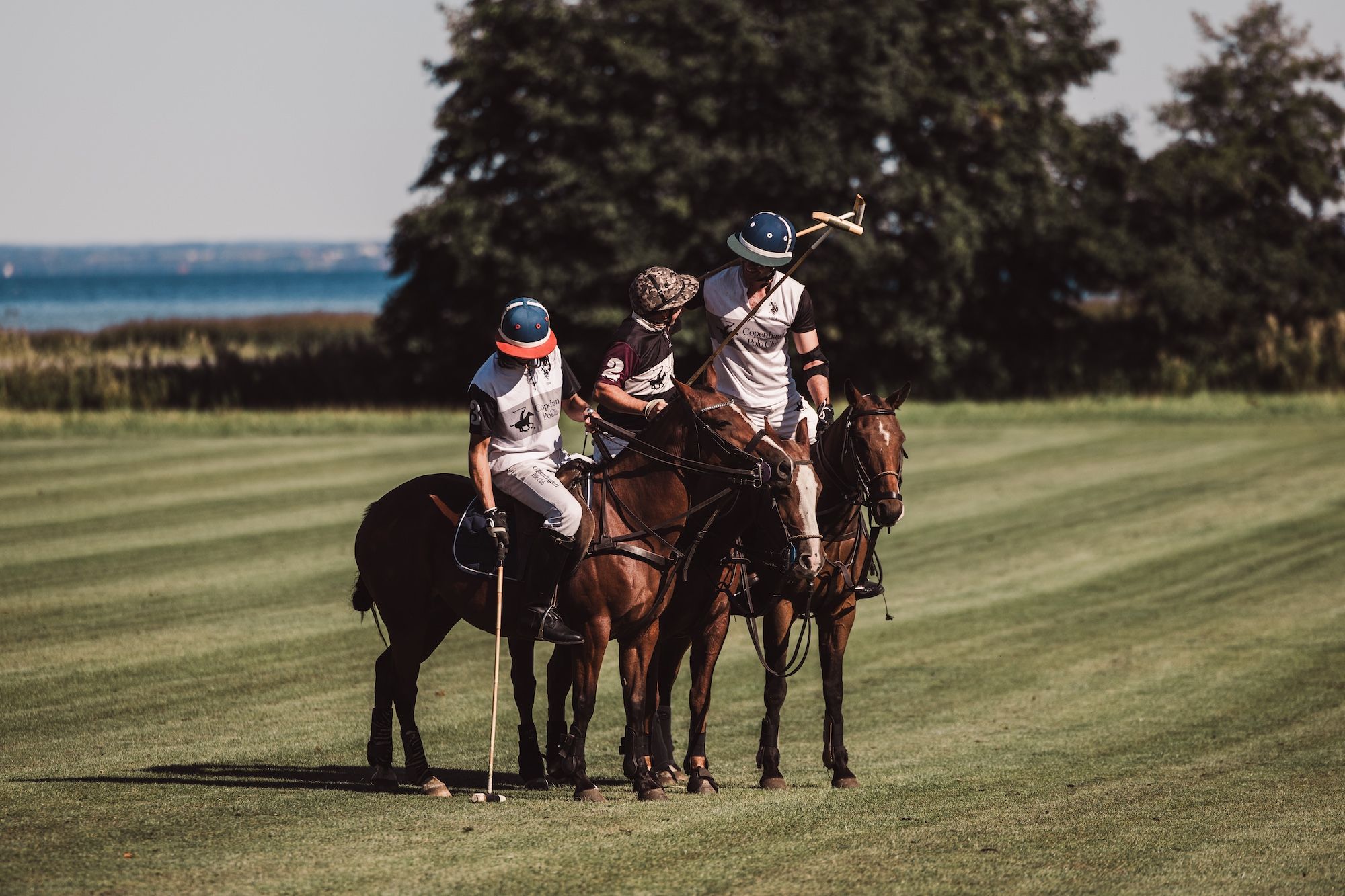 Polo Sport: The Game of the Kings - Anna Archinger | Horse Photography